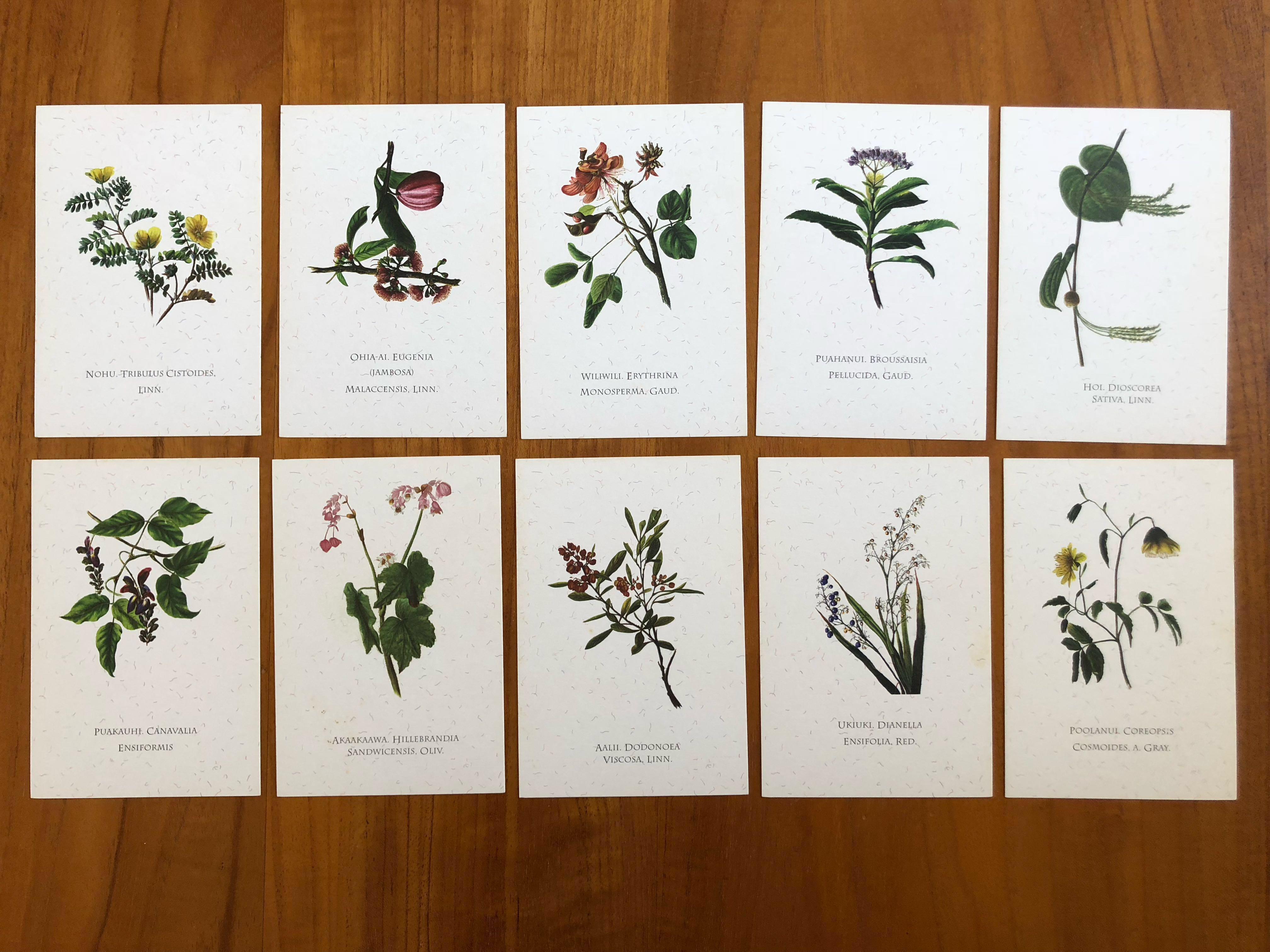 Botanic postcards (Set of 32 Postcards), Hobbies & Toys, Stationery ...