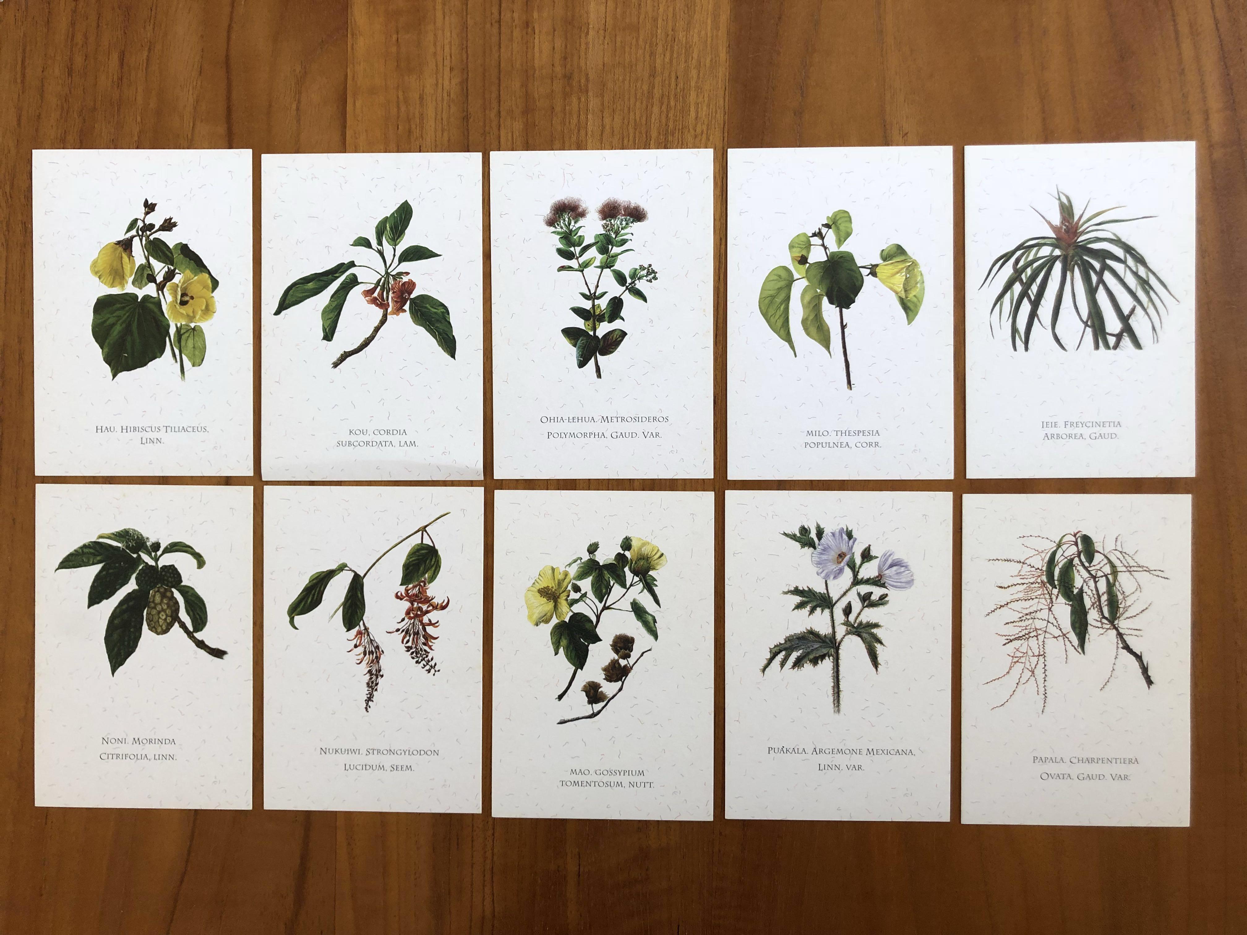 Botanic postcards (Set of 32 Postcards), Hobbies & Toys, Stationery ...
