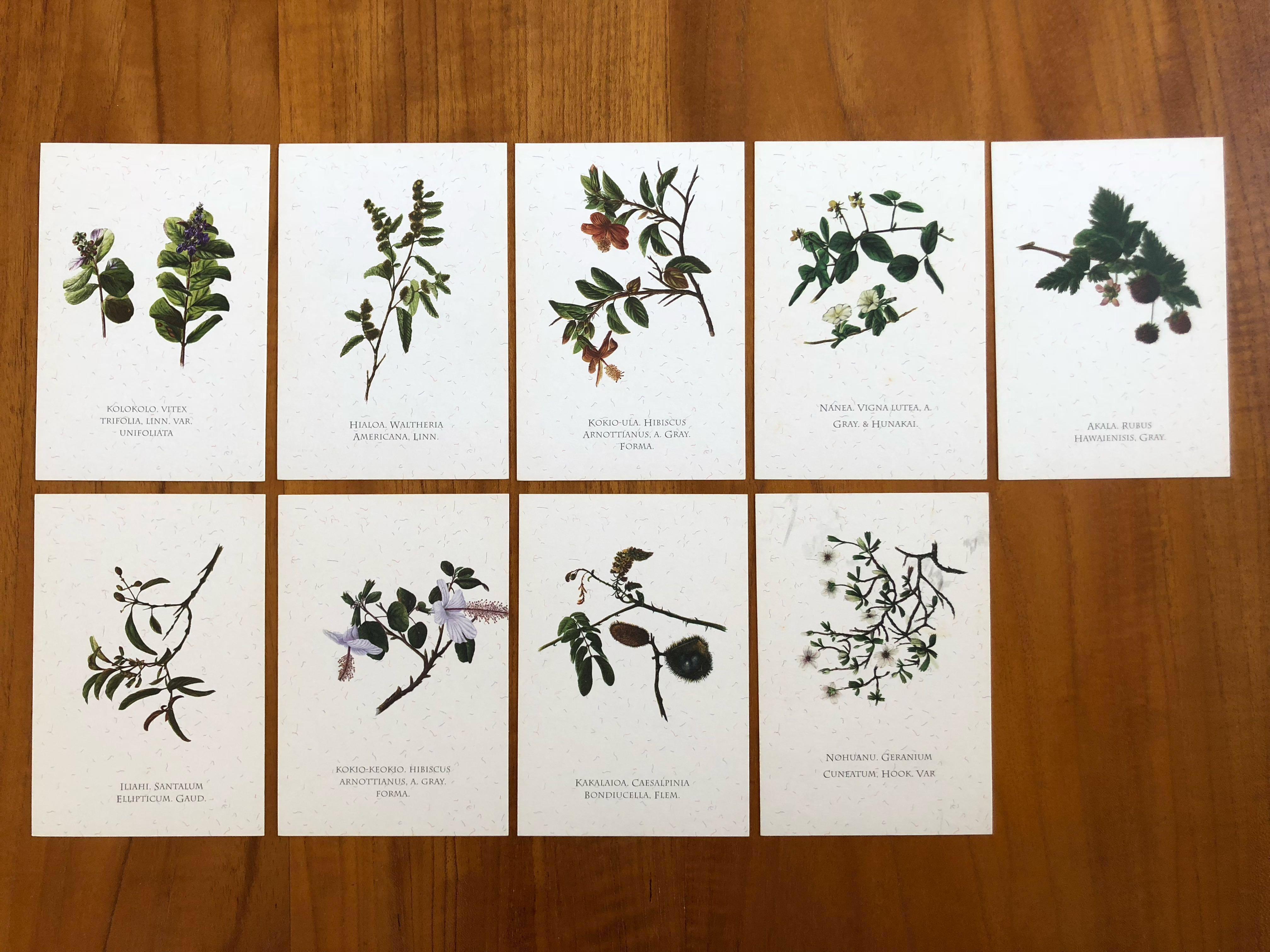 Botanic postcards (Set of 32 Postcards), Hobbies & Toys, Stationery ...