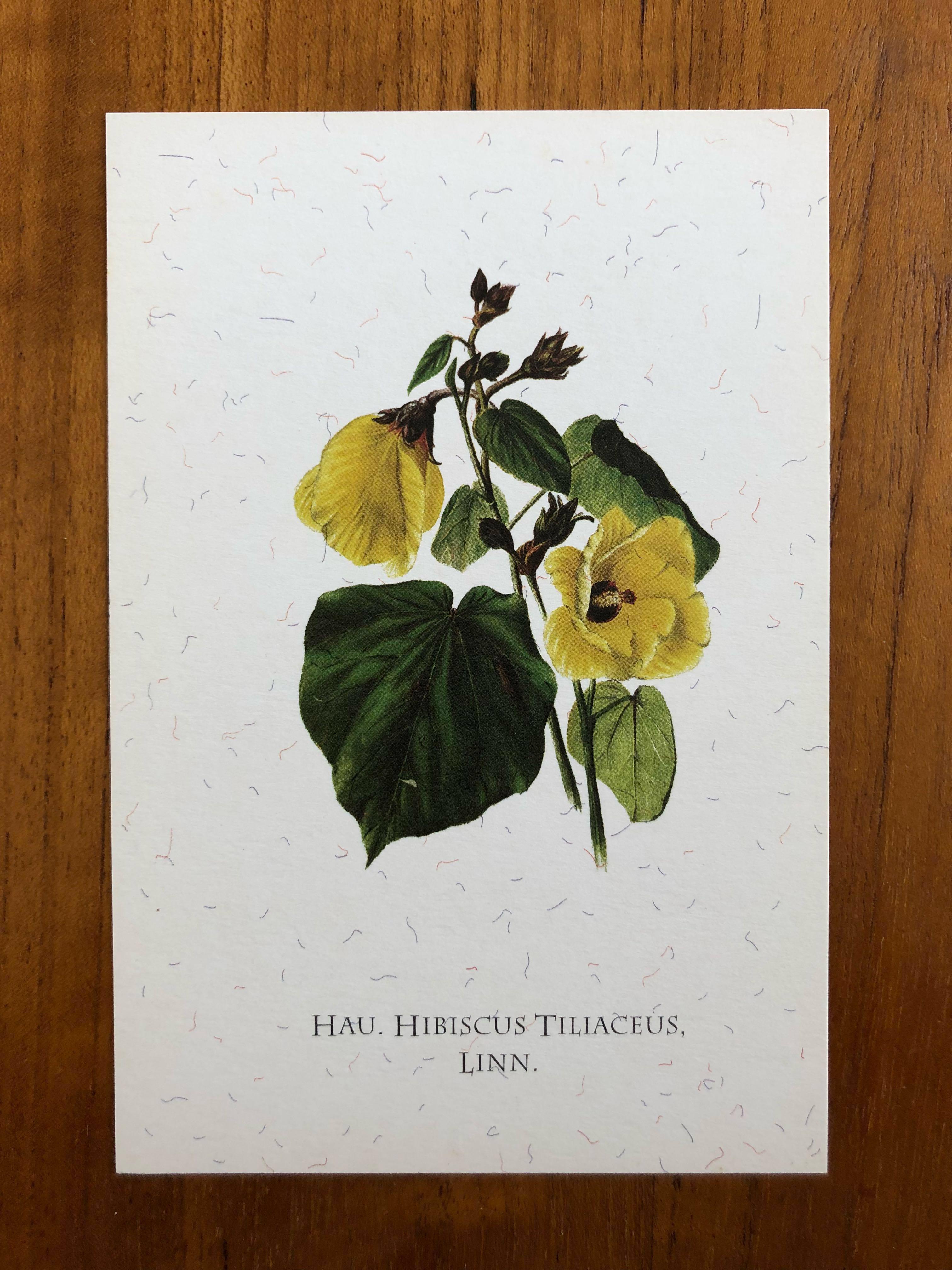 Botanic postcards (Set of 32 Postcards), Hobbies & Toys, Stationery ...