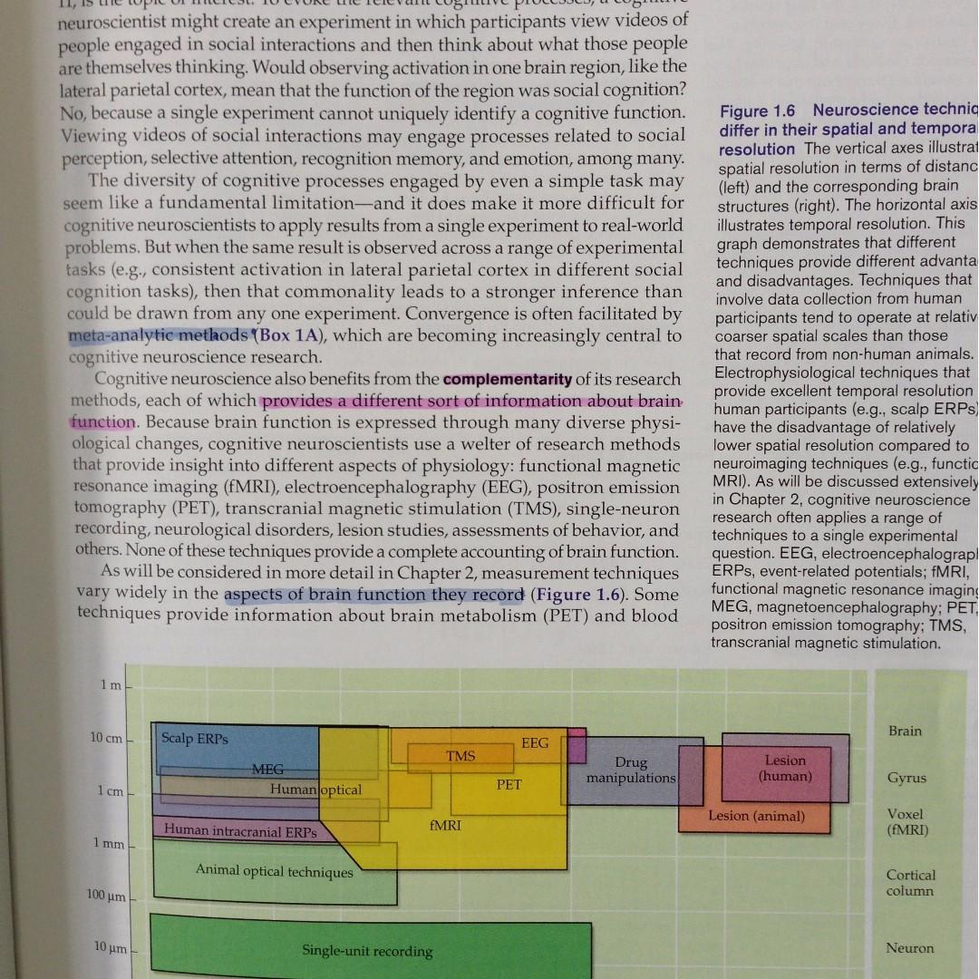 PL3258/PL4206 Principles of Cognitive Neuroscience 2nd edition, Books ... PL3258/PL4206 Principles of Cognitive Neuroscience 2nd edition, Books ...