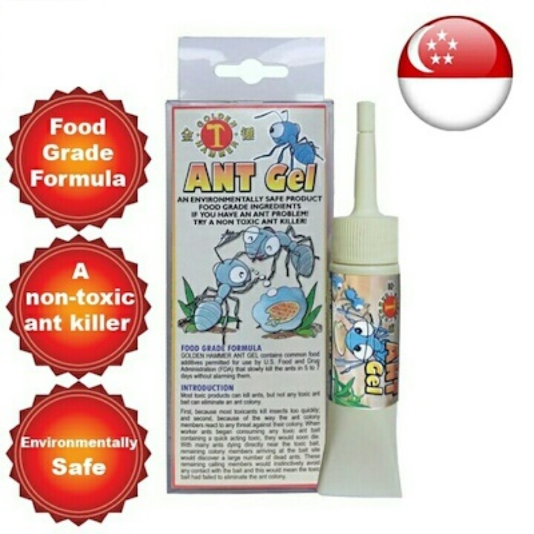 Effective Golden Hammer Ant Gel for Ant killer and Ant bait Trap ...