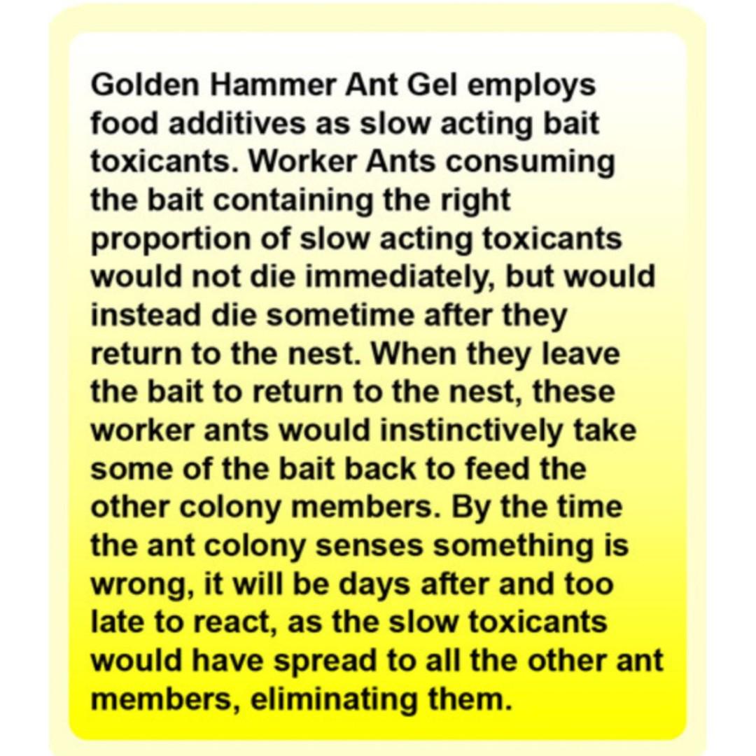 Effective Golden Hammer Ant Gel for Ant killer and Ant bait Trap ...