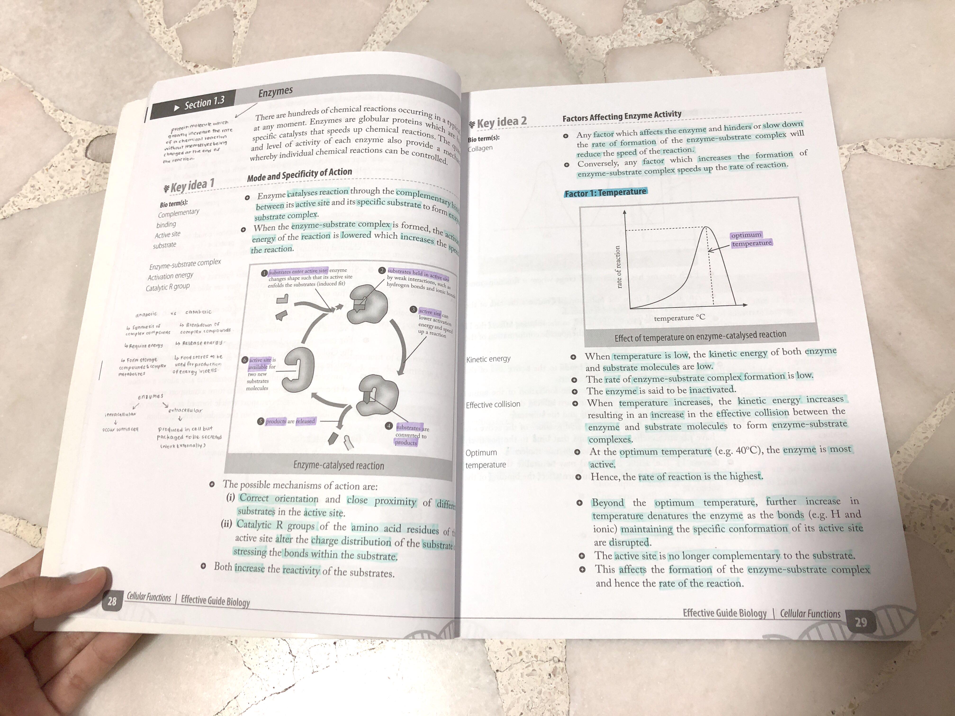 H2 Bio JC textbook, Hobbies & Toys, Books & Magazines, Textbooks on ...