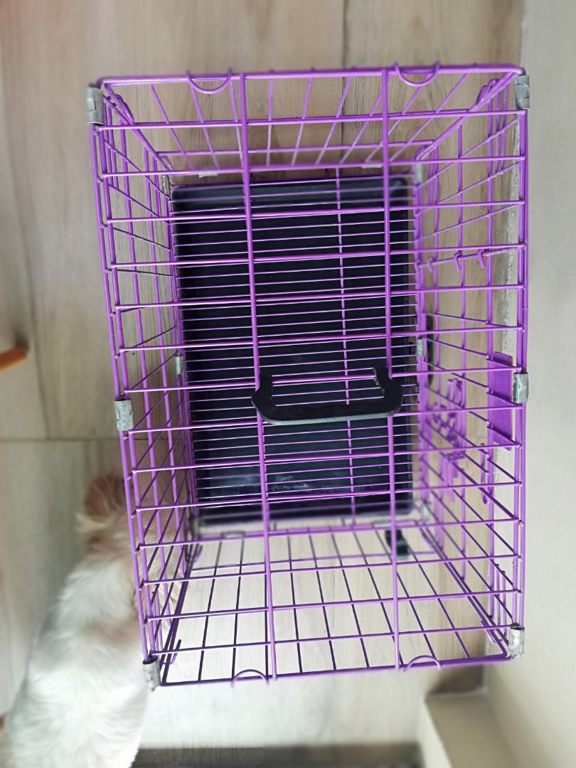 Collapsible Pet Crate - poop tray included, Pet Supplies, Homes & Other ...