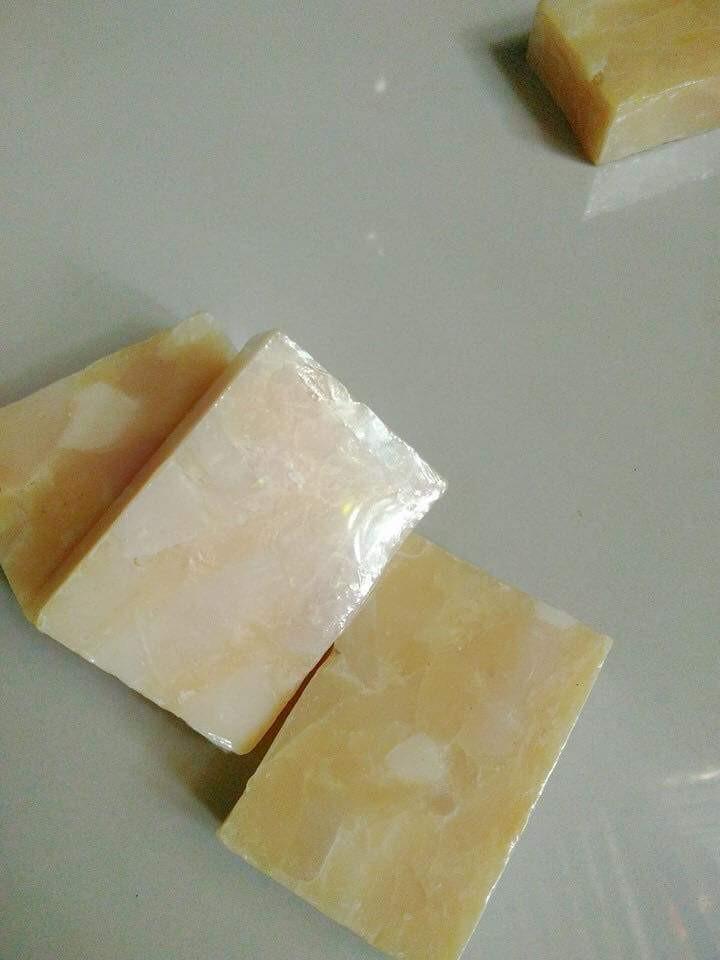 PLACENTA BAR on Carousell
