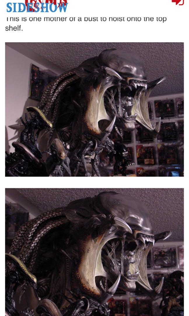 Wtb Predalien Bust Sideshow. Predator bust, Alien Bust, AVP, Bulletin ...