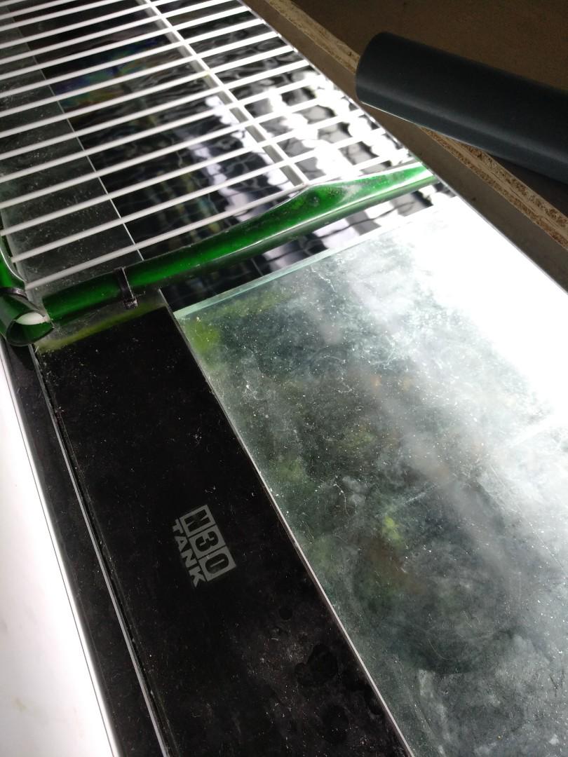 Arowana fish tank top cover mesh, Pet Supplies, Homes & Other Pet ...