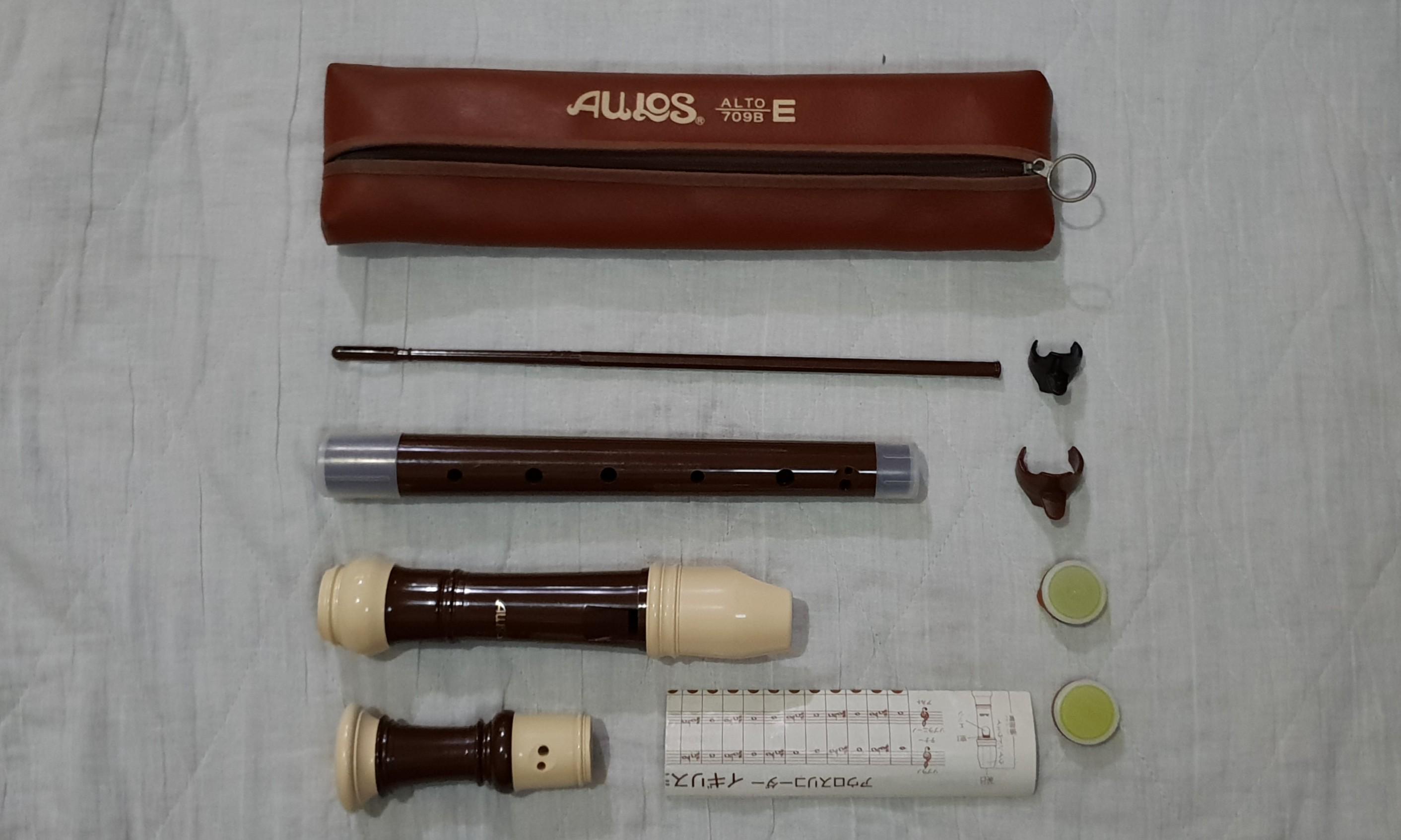 Aulos Haka Alto Recorder 709B (E), Hobbies & Toys, Music & Media, Musical Instruments on Carousell