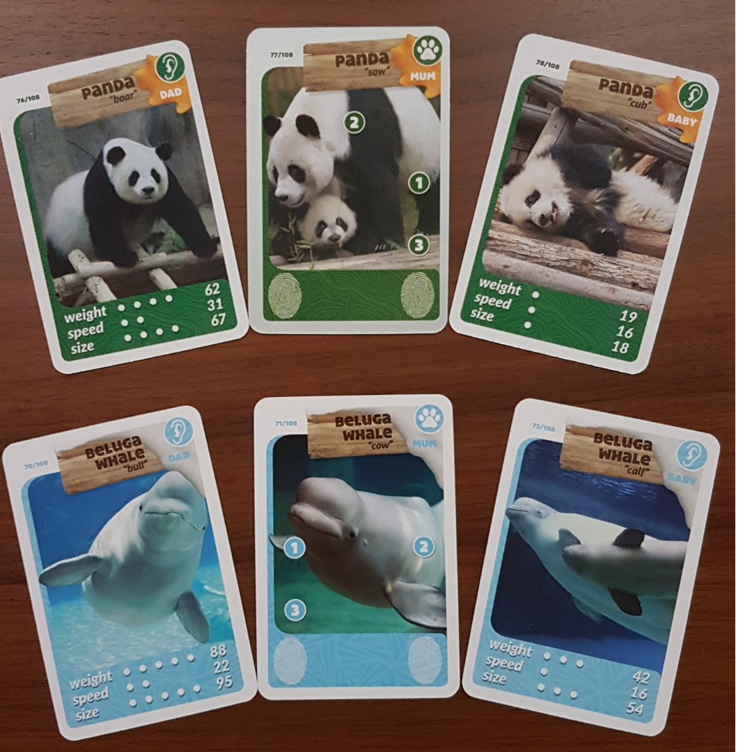 BelugaWhale&Panda - Xtra Wildlife Animal Collectible Cards, Hobbies ...