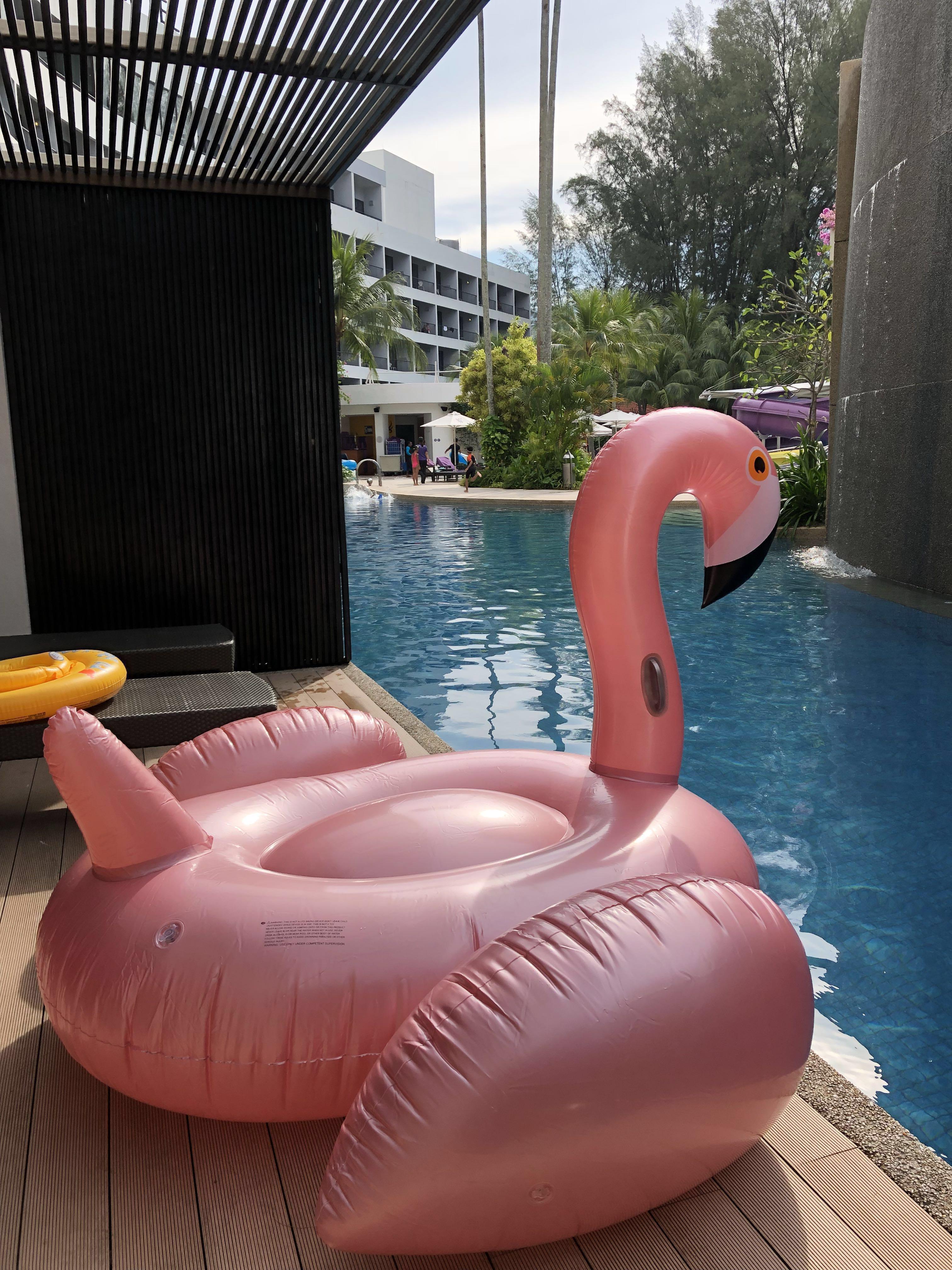 Giant Flamingo Float [RENTAL], Everything Else, Others on Carousell