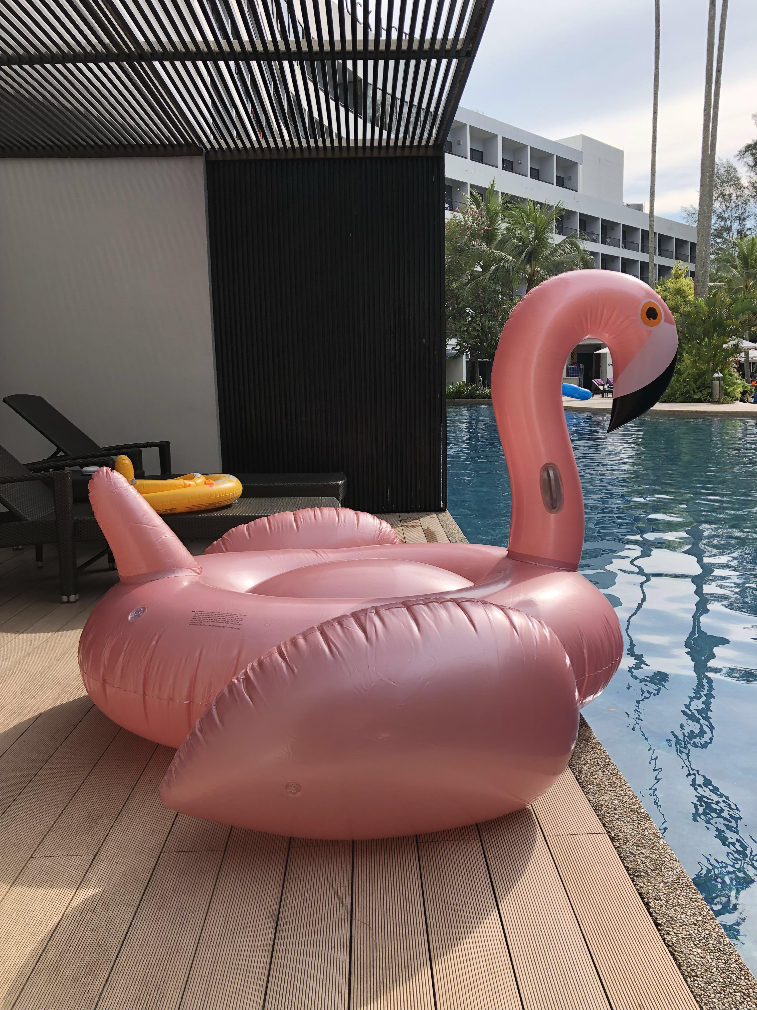 Giant Flamingo Float [RENTAL], Everything Else, Others on Carousell