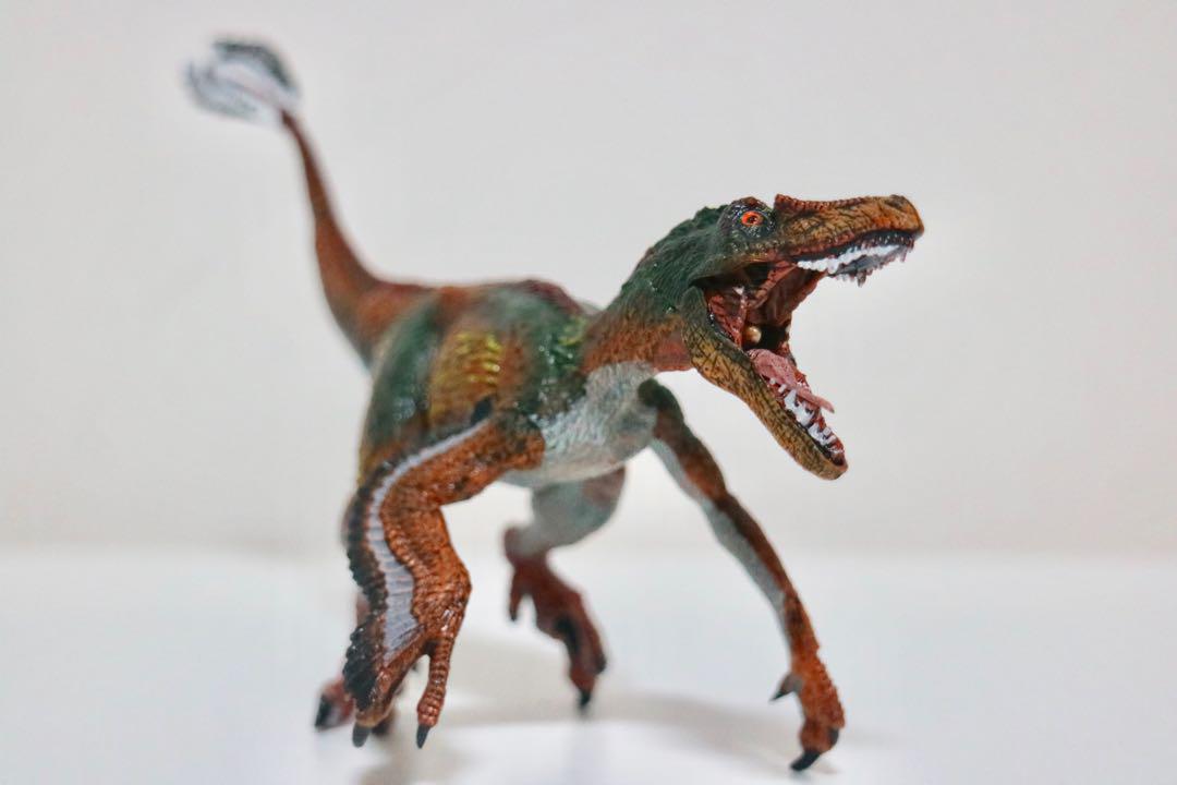 Papo Dinosaur Figure Figurine Feathered Velociraptor Toy, Hobbies ...