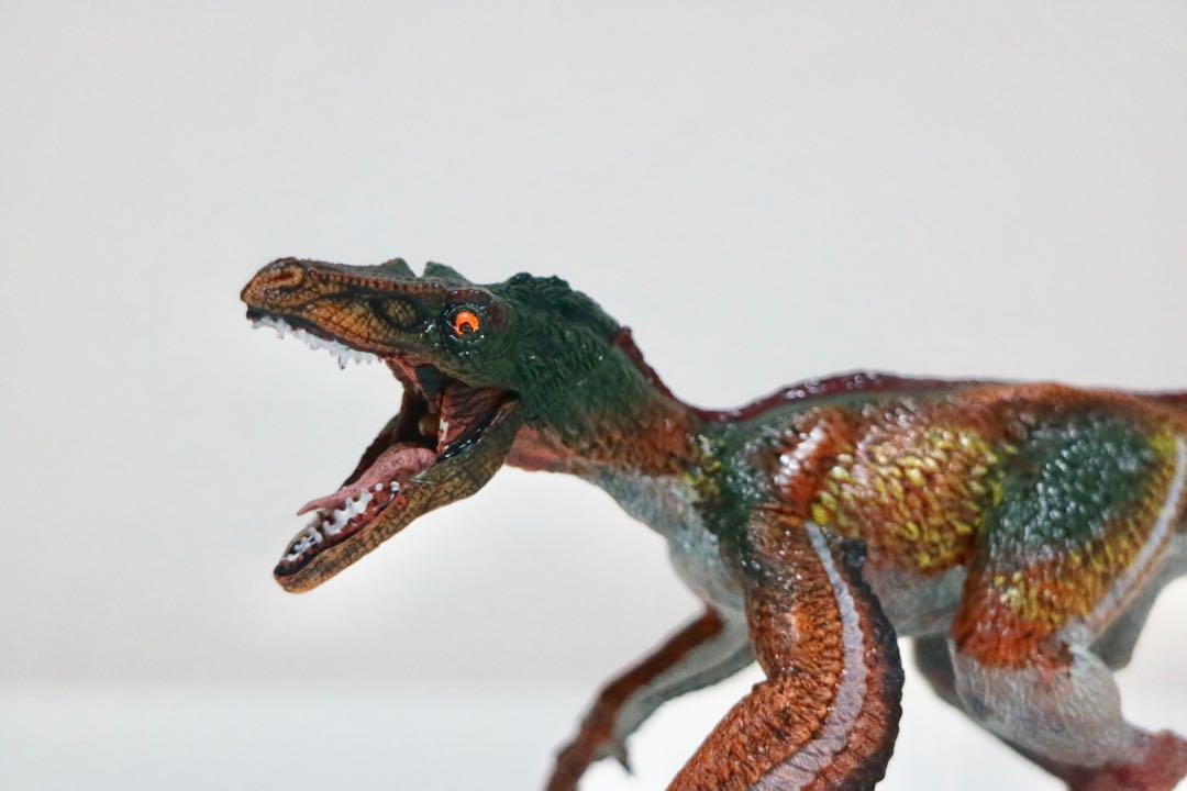 Papo Dinosaur Figure Figurine Feathered Velociraptor Toy, Hobbies ...