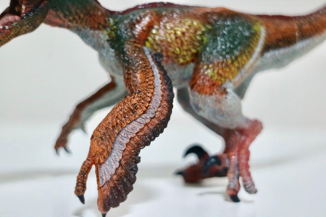Papo Dinosaur Figure Figurine Feathered Velociraptor Toy, Hobbies ...