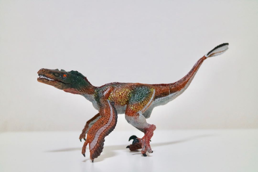 Papo Dinosaur Figure Figurine Feathered Velociraptor Toy, Hobbies ...