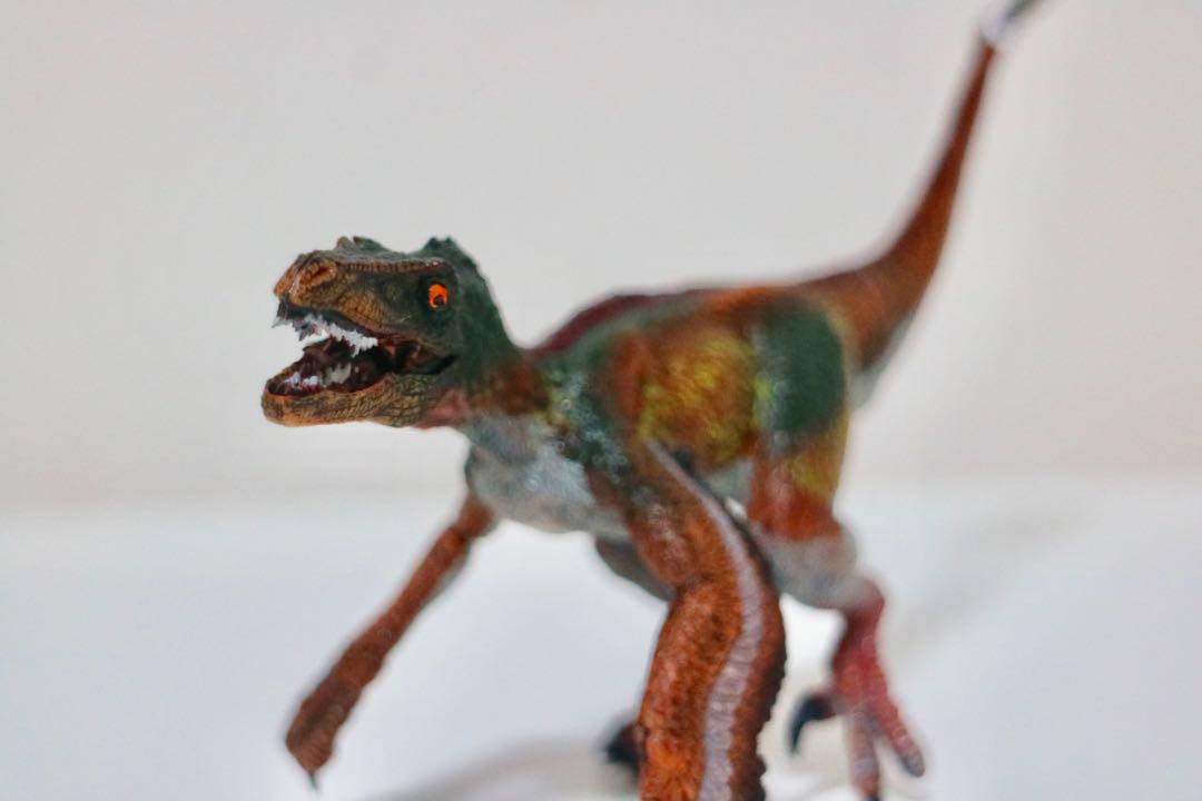 Papo Dinosaur Figure Figurine Feathered Velociraptor Toy, Hobbies ...
