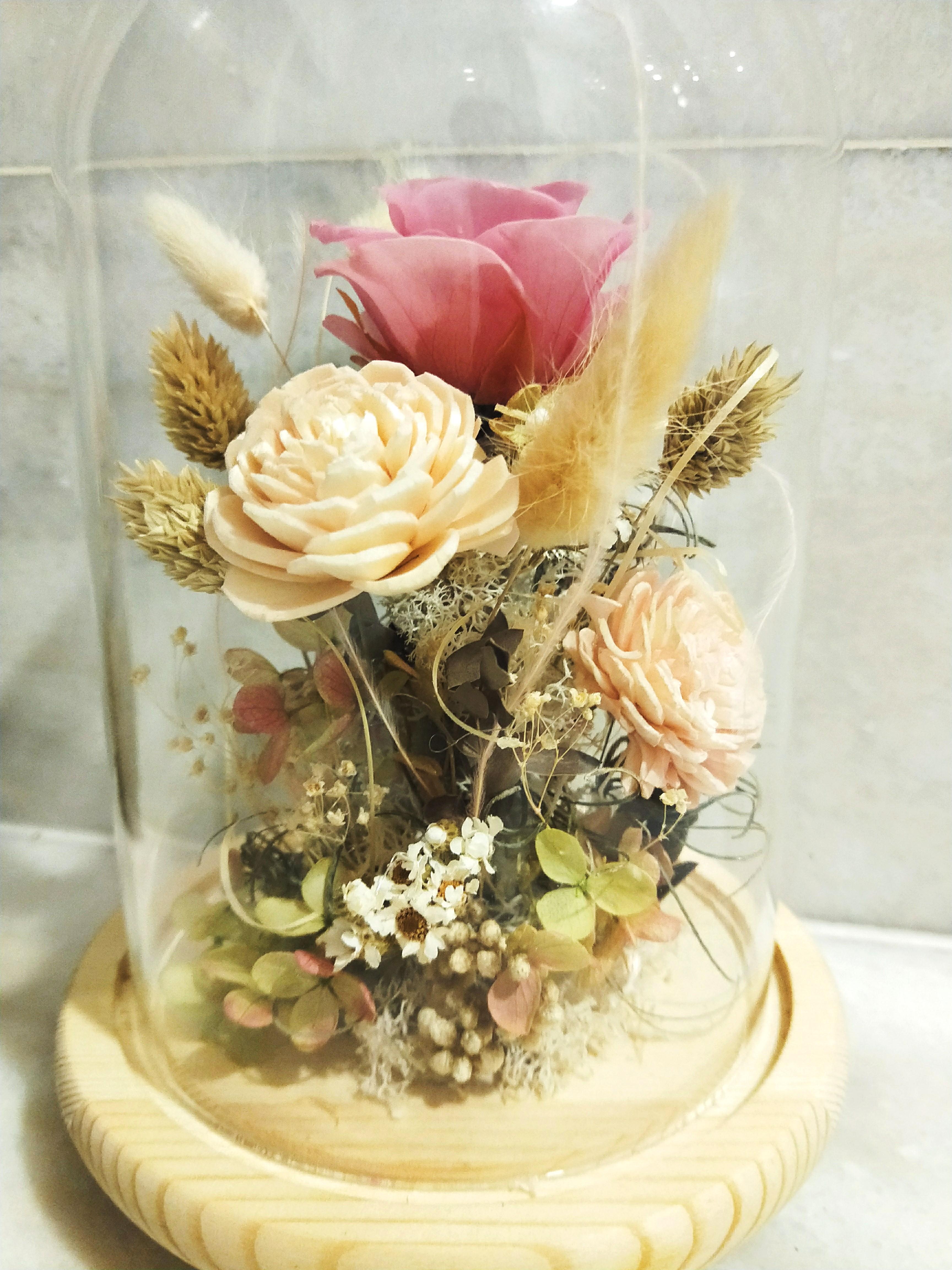Ready Stock! Preserved Rose /Preserved flower/ Glass dome, Hobbies ...
