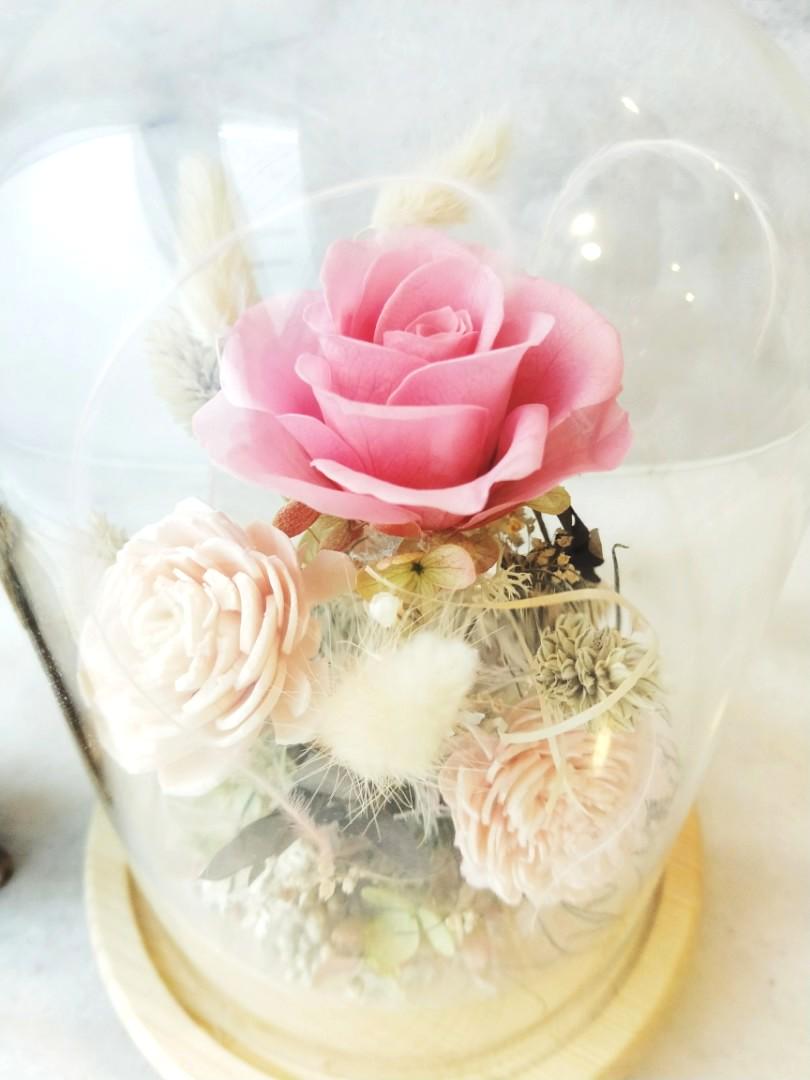 Ready Stock! Preserved Rose /Preserved flower/ Glass dome, Hobbies ...