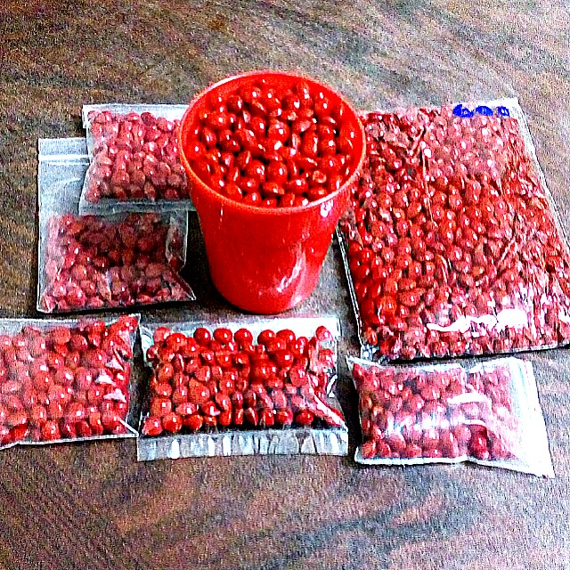 Saga Seeds, Babies & Kids, Baby Nursery & Kids Furniture, Other Kids ...