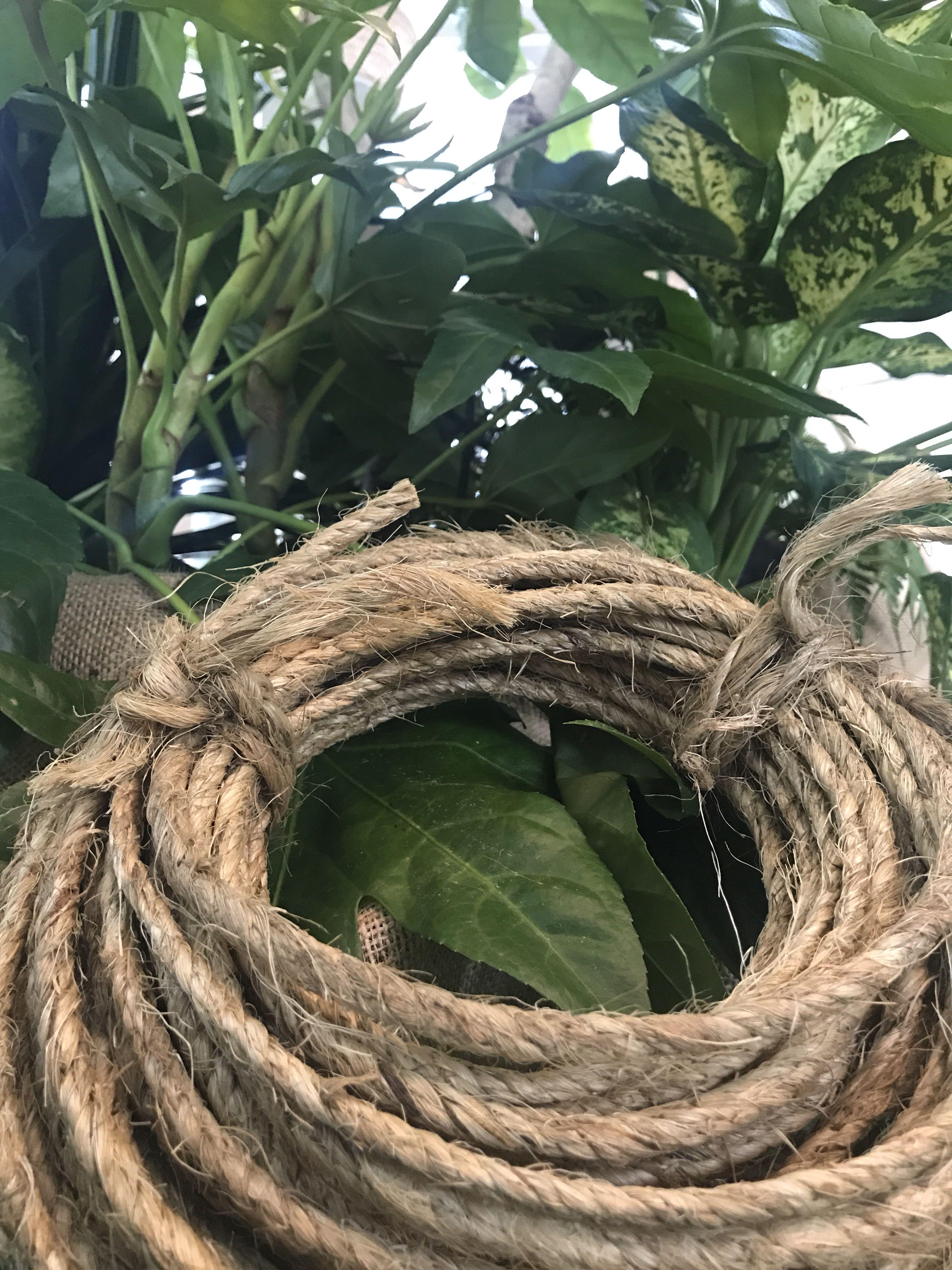 Sisal Ropes Bird Cat Condo, Pet Supplies, Homes & Other Pet Accessories ...