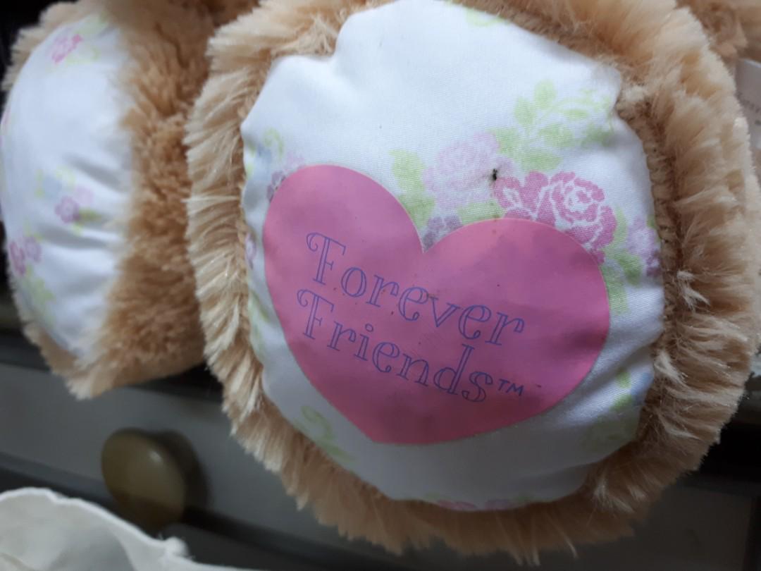 Forever friends bear (large), Hobbies & Toys, Toys & Games on Carousell