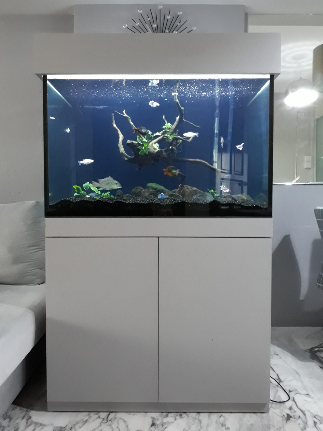 Customised Fish Tank (3ft x 2ft x2ft) c/w cabinet, lighting, canister ...