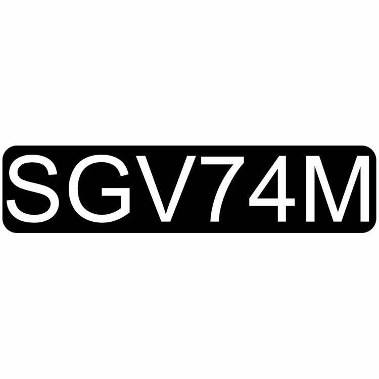 GOLDEN BIDDED NUMBER CAR REGISTRATION PLATE 74 7474 SGV74M, Cars, Other ...