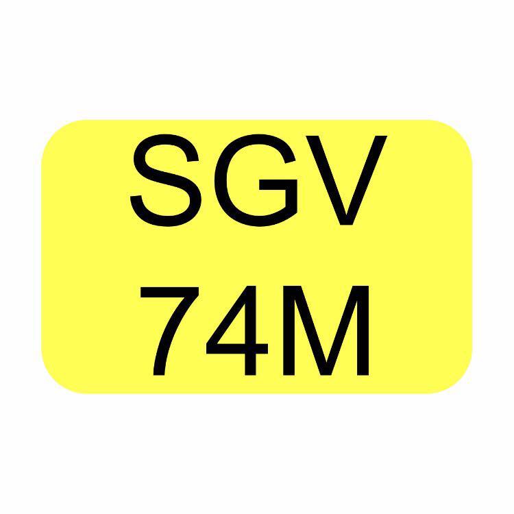 GOLDEN BIDDED NUMBER CAR REGISTRATION PLATE 74 7474 SGV74M, Cars, Other ...