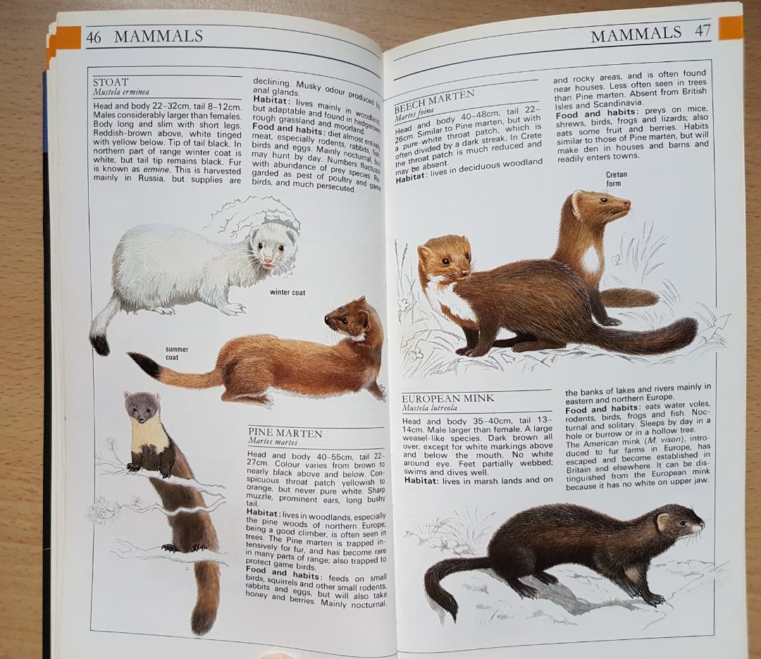 Field Guide to Wildlife, Hobbies & Toys, Books & Magazines, Fiction ...