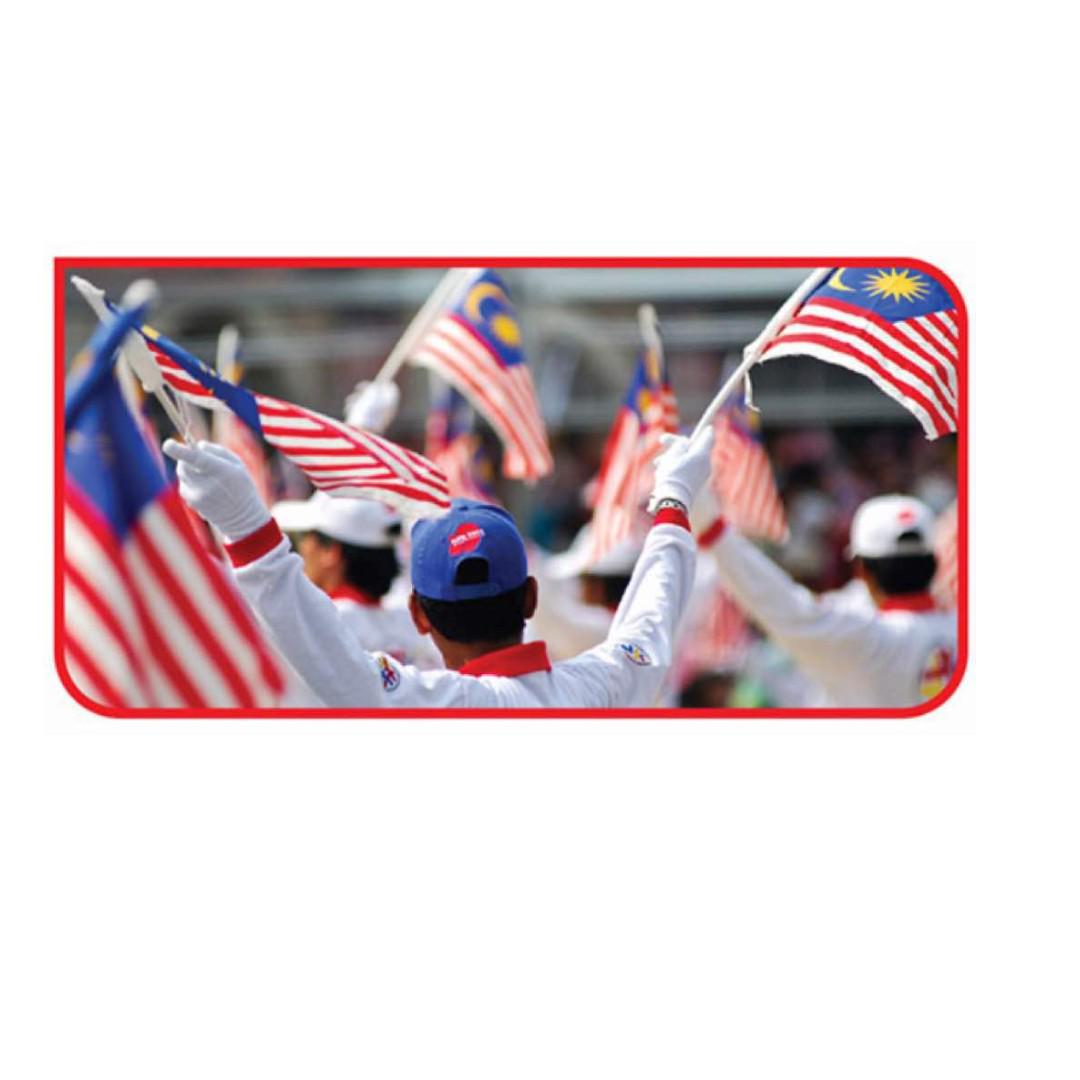 Malaysia Hand Hold Flag (L), Health & Nutrition, Assistive ...