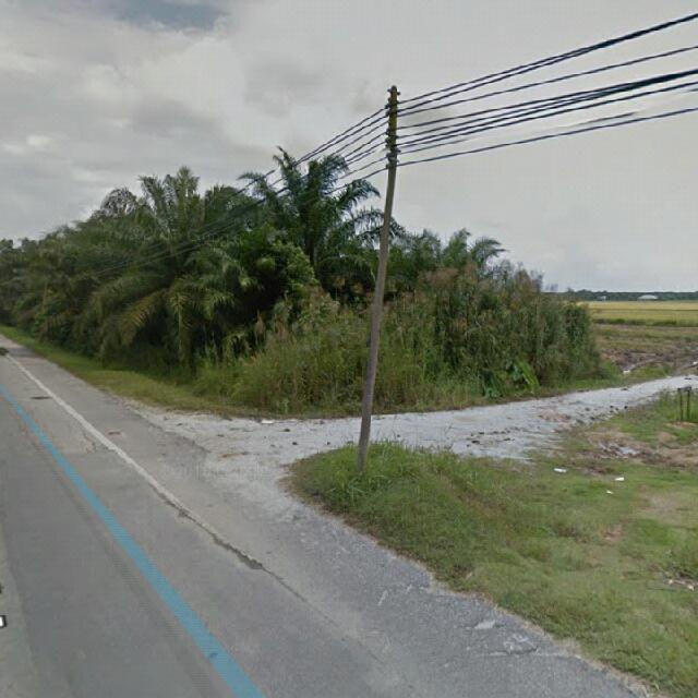 Tanah Rata Murah Tepi Jalan Untuk Dijual, Property, For Sale on Carousell