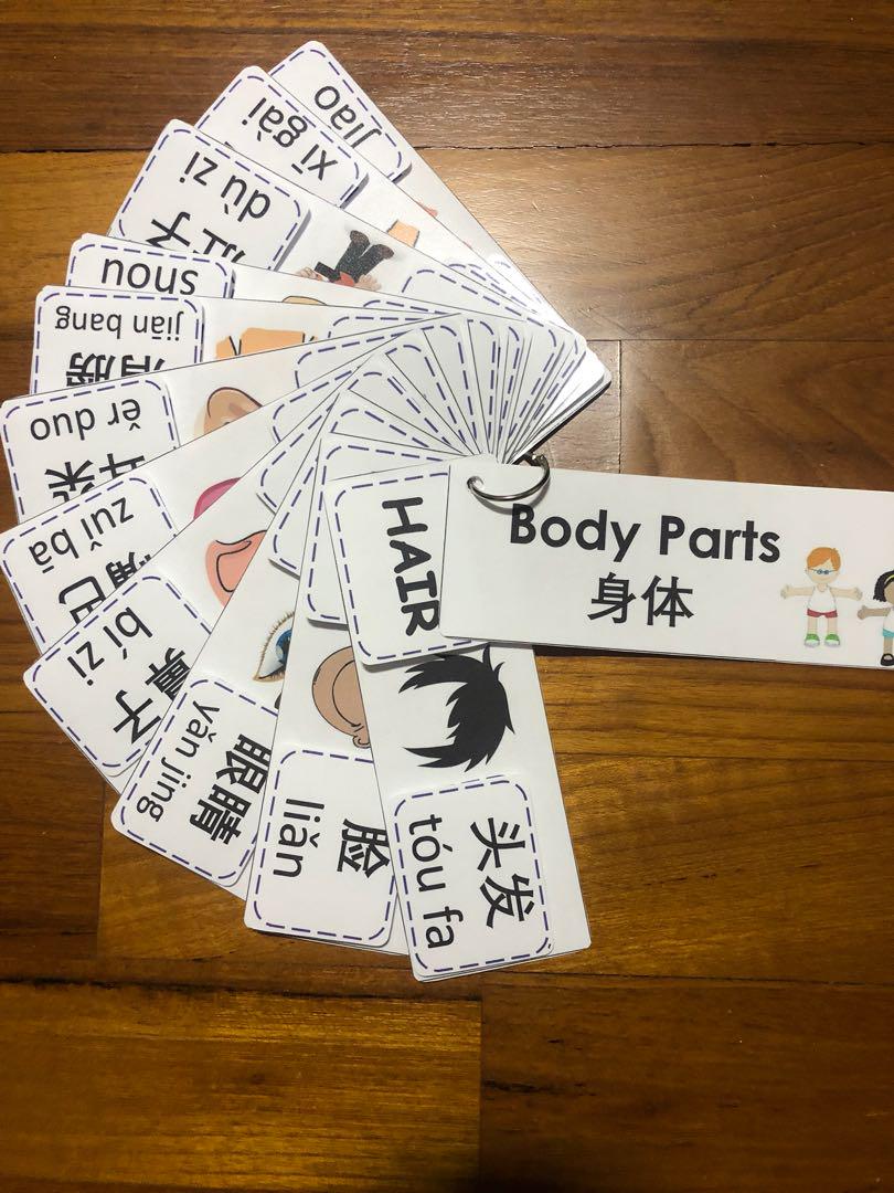 Velcro Activities Flash Cards, Hobbies & Toys, Toys & Games on Carousell