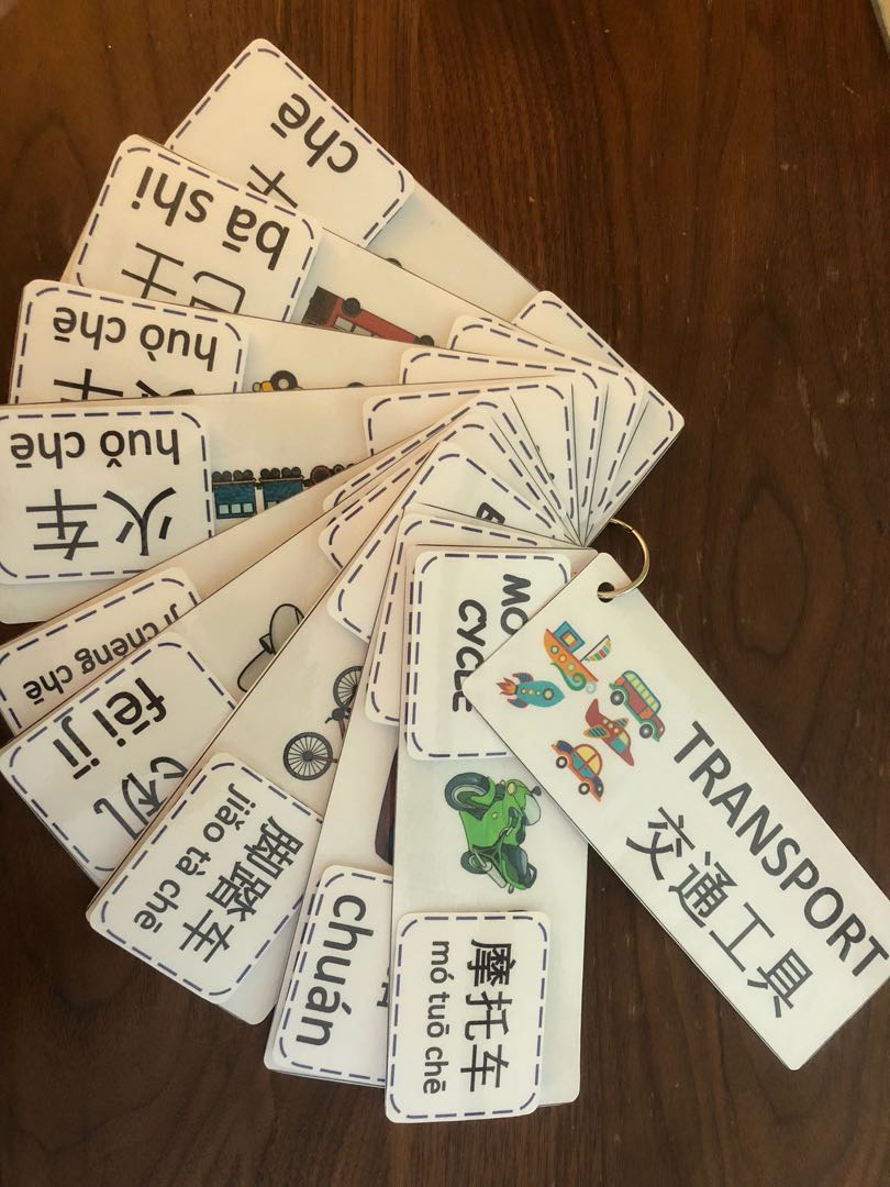 Velcro Activities Flash Cards, Hobbies & Toys, Toys & Games on Carousell