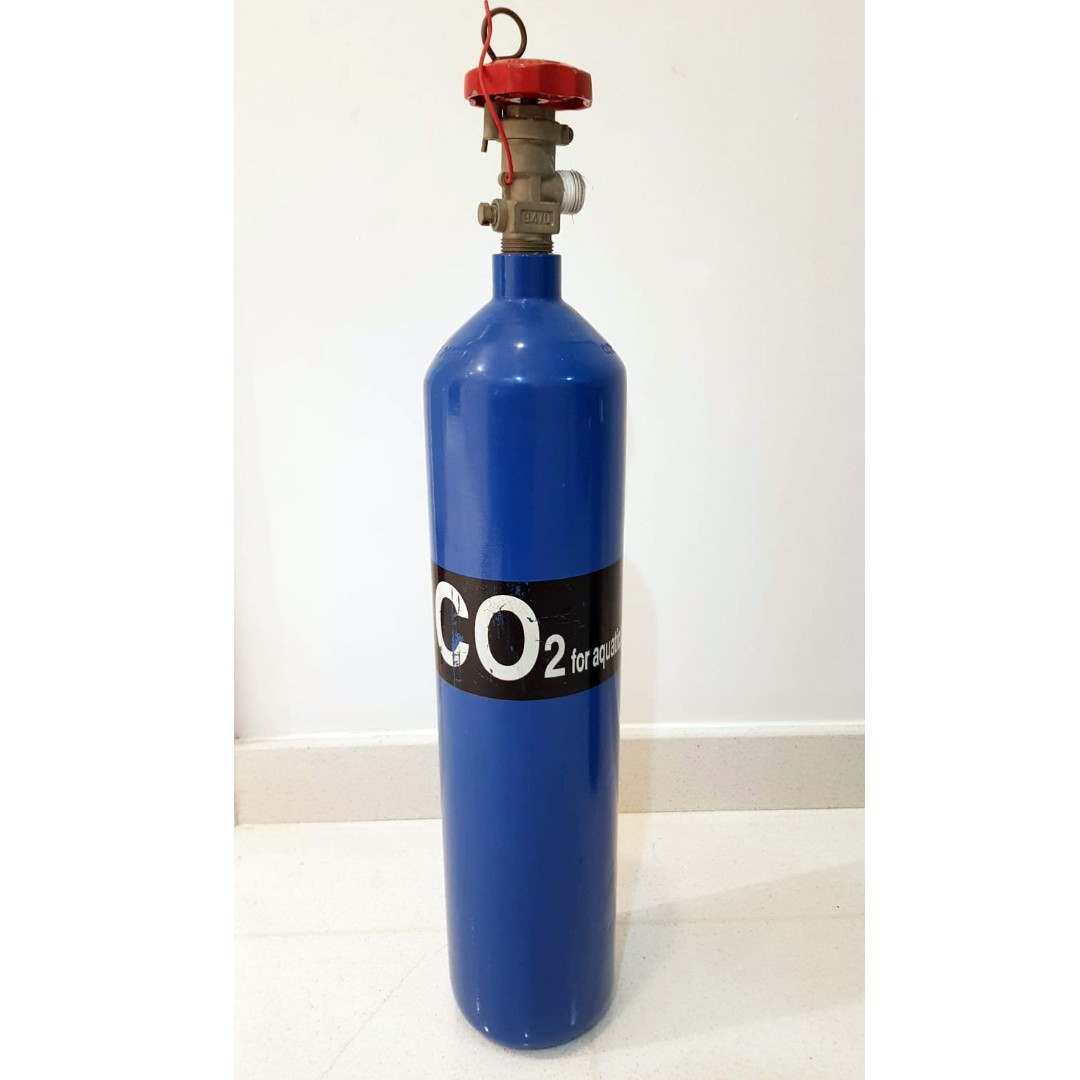CO2 Tank, Pet Supplies, Homes & Other Pet Accessories on Carousell
