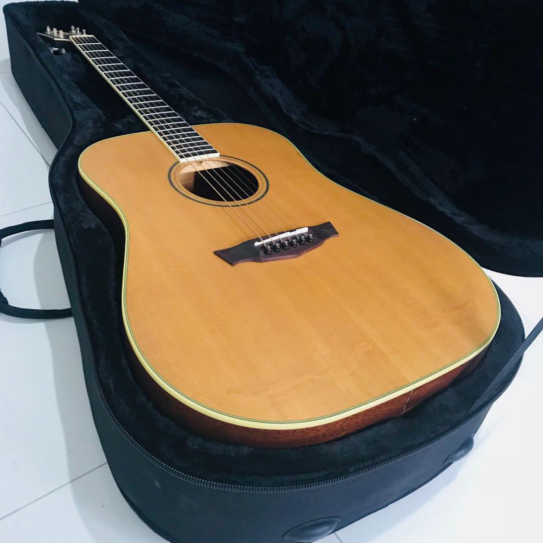 Parkwood Acoustic Guitar PW 310, Hobbies & Toys, Music & Media, Musical ...