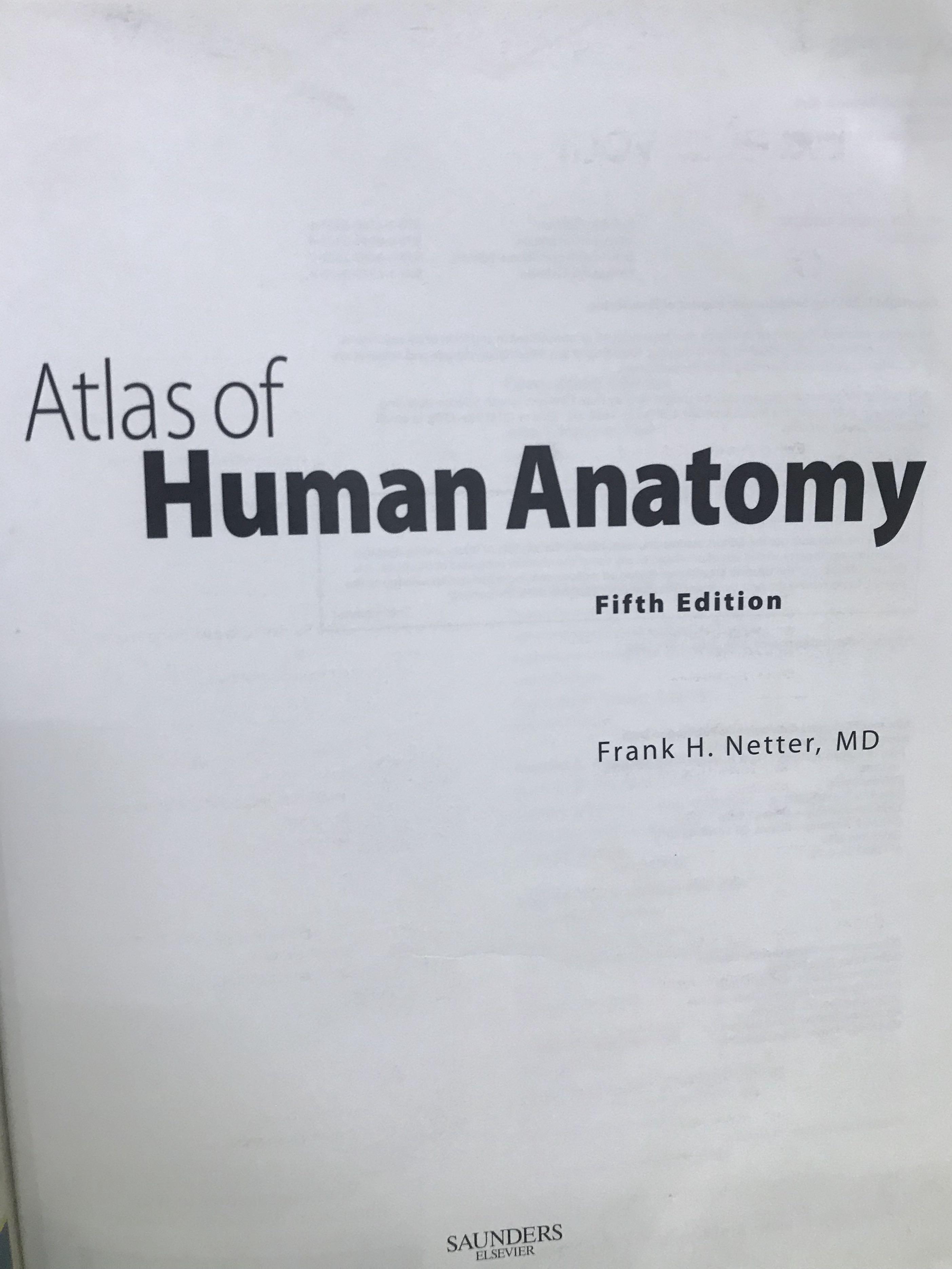 Anatomy Textbook (Frank Netter 5th Edition), Hobbies & Toys, Books ...