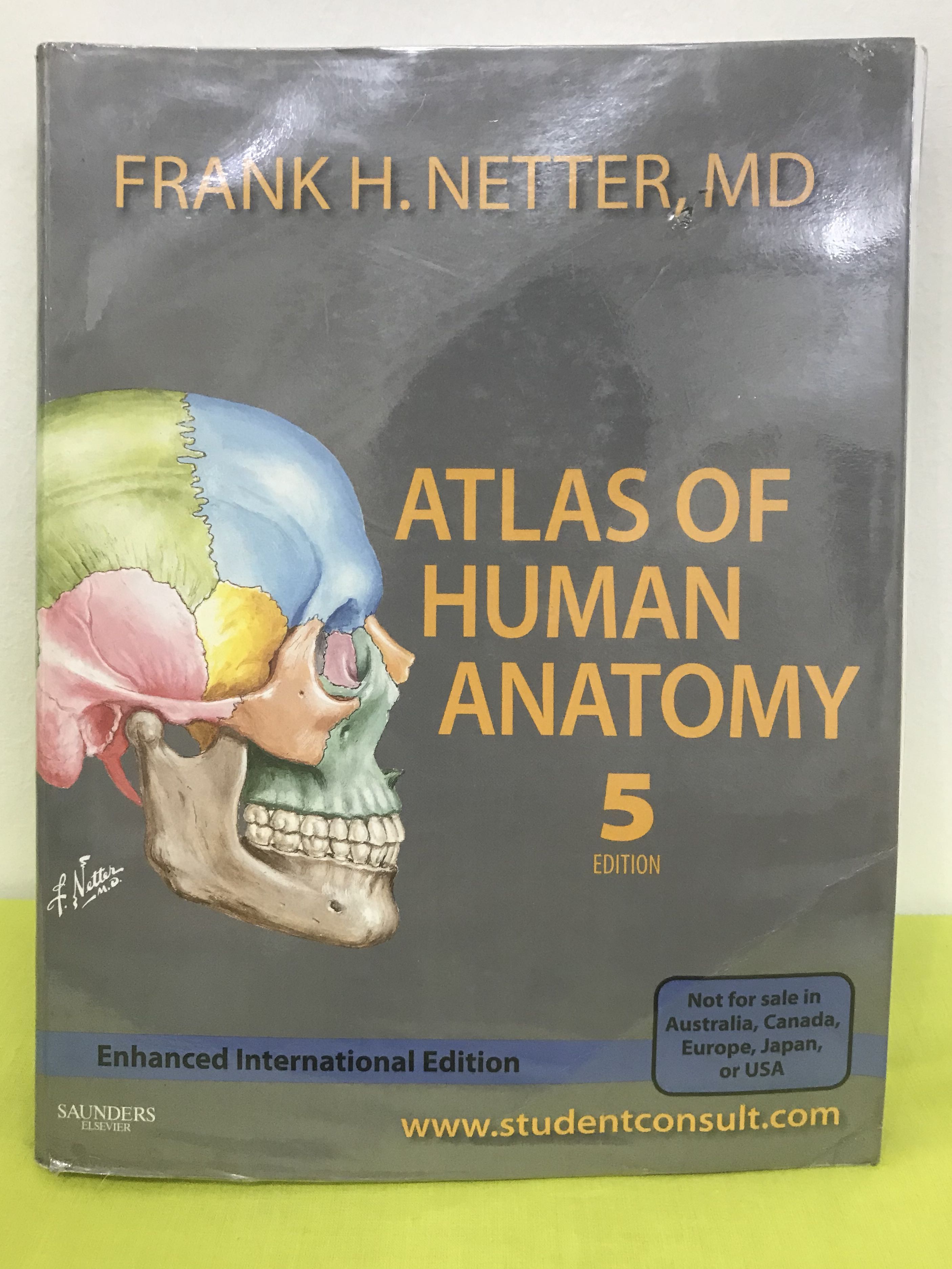 Anatomy Textbook (Frank Netter 5th Edition), Hobbies & Toys, Books ...
