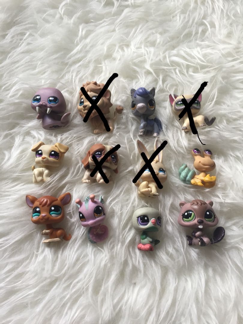 LITTLEST PET SHOP (RARE), Hobbies & Toys, Toys & Games on Carousell