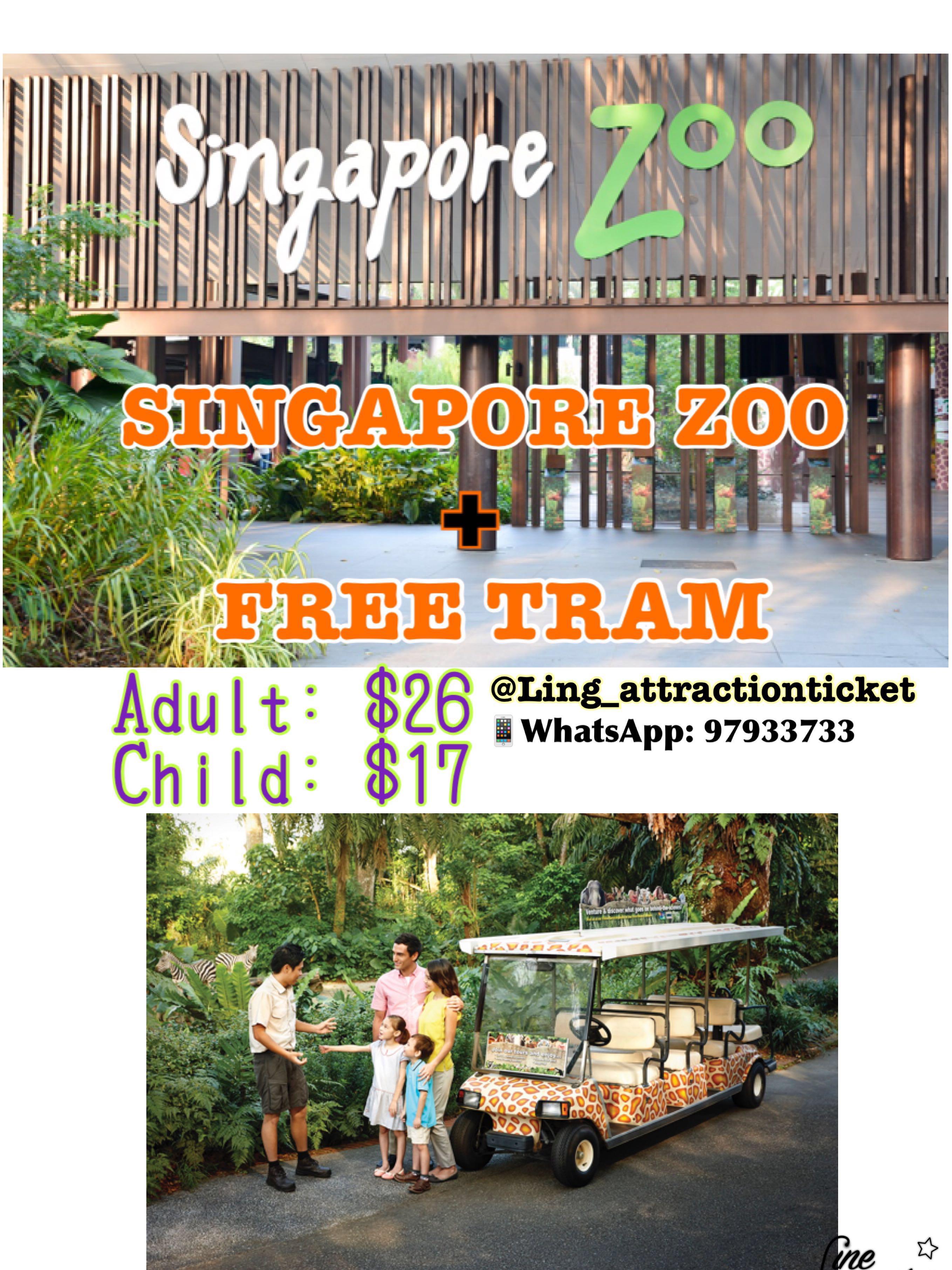 SINGAPORE ZOO WITH FREE TRAM (OPEN DATE), Tickets & Vouchers, Local ...