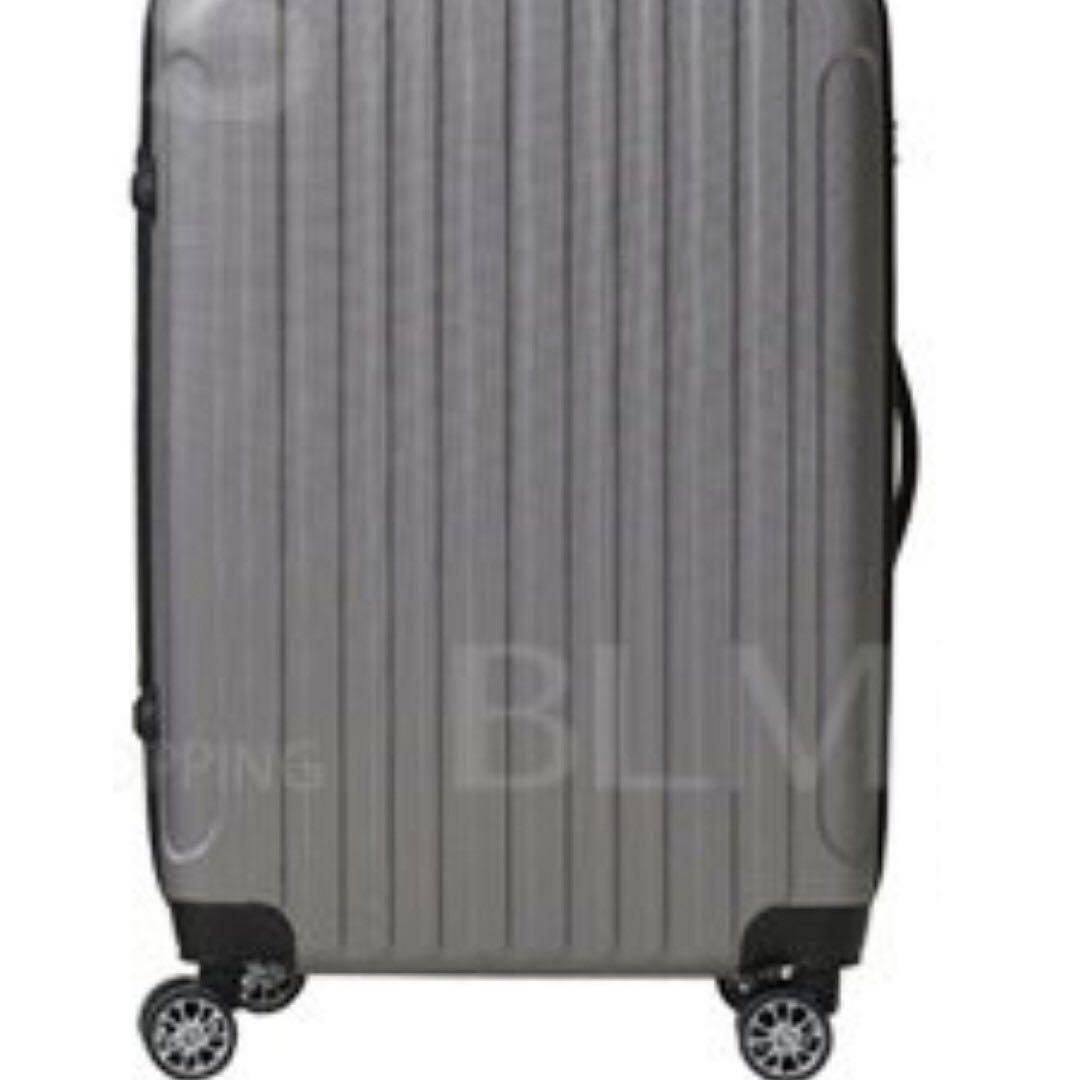 20 & 24” travelling grey spinner luggage, Hobbies & Toys, Travel ...