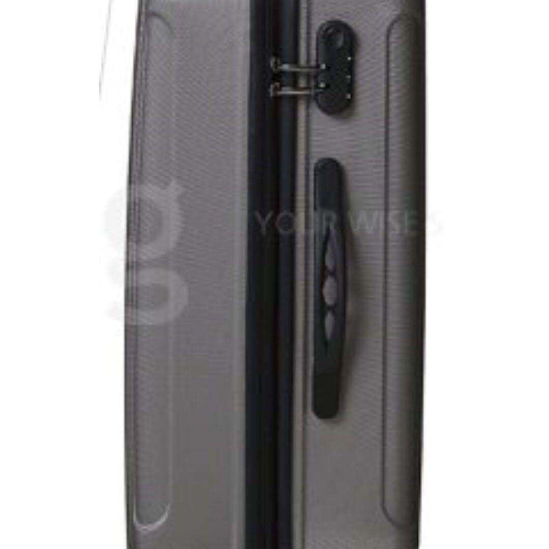 20 & 24” travelling grey spinner luggage, Hobbies & Toys, Travel ...