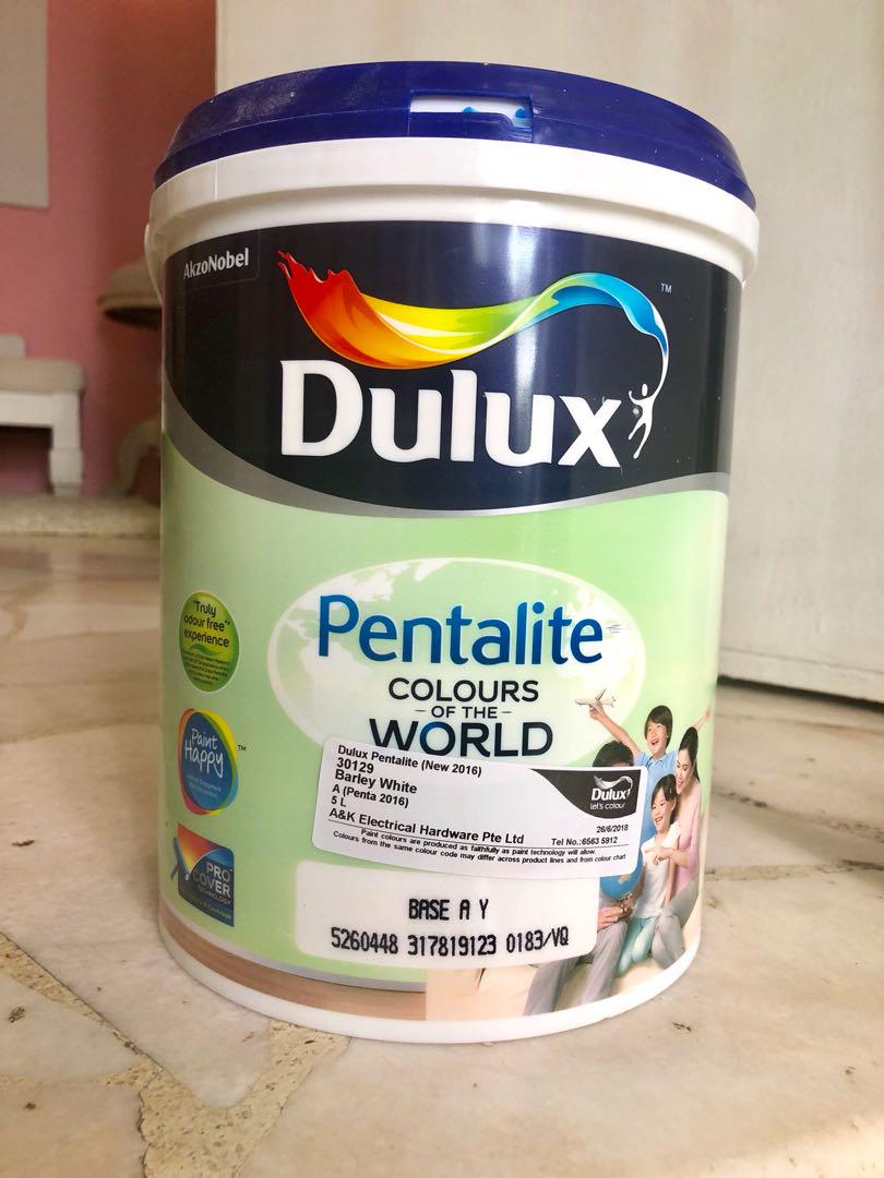 BRAND NEW DULUX PENTALITE, Everything Else on Carousell