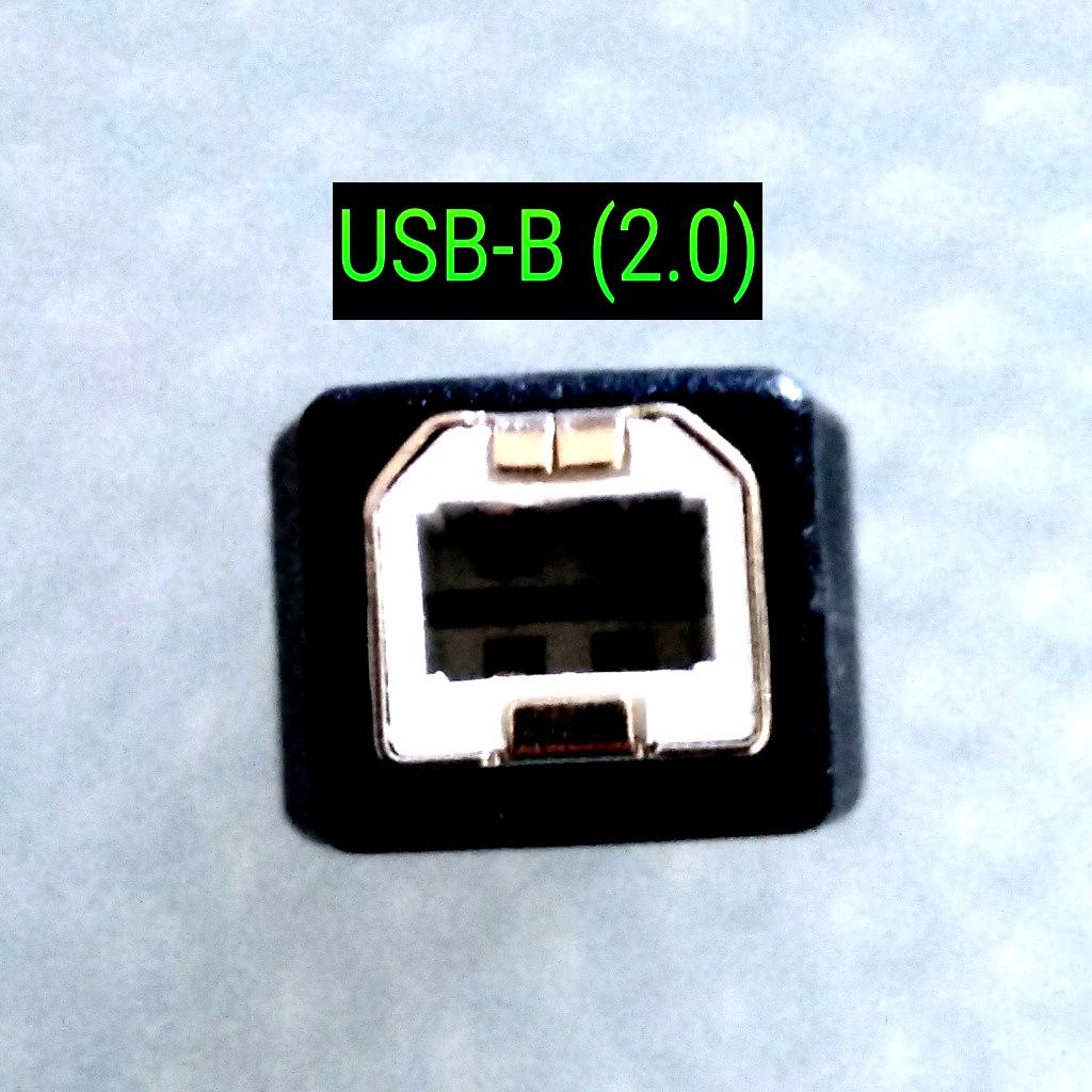 USB-A to USB-B (2.0) Adapter, Computers & Tech, Parts & Accessories ...