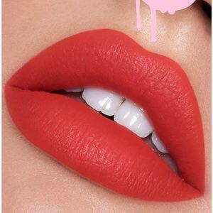 Middle Finger mini liquid lipstick - Kylie Cosmetics (Momager ...