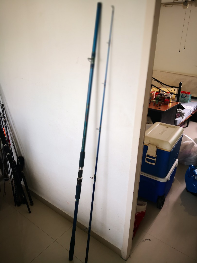 12' SureCatch Surf Casting Rod, Sports Equipment, Fishing on Carousell