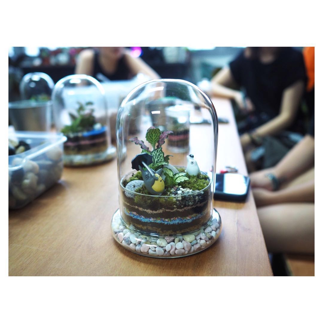 Terrarium workshop with J2 - 15th July, Furniture & Home Living, Home ...