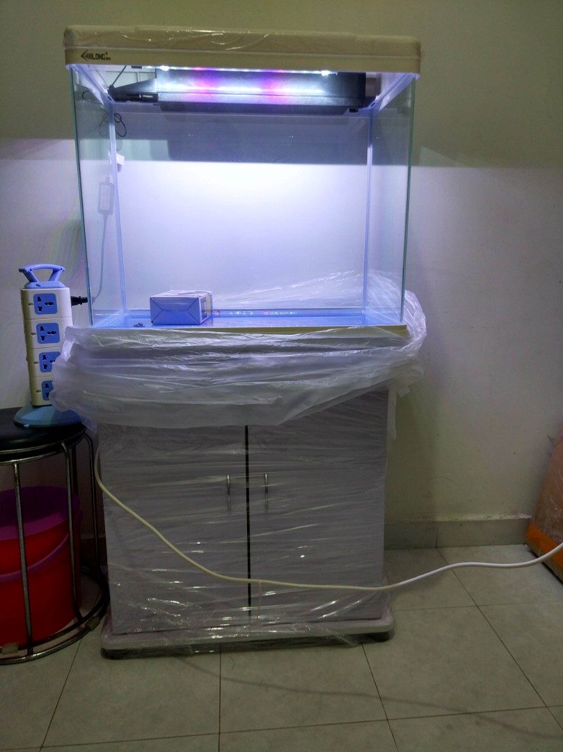 Fish Tank (2 ft), Pet Supplies, Homes & Other Pet Accessories on Carousell