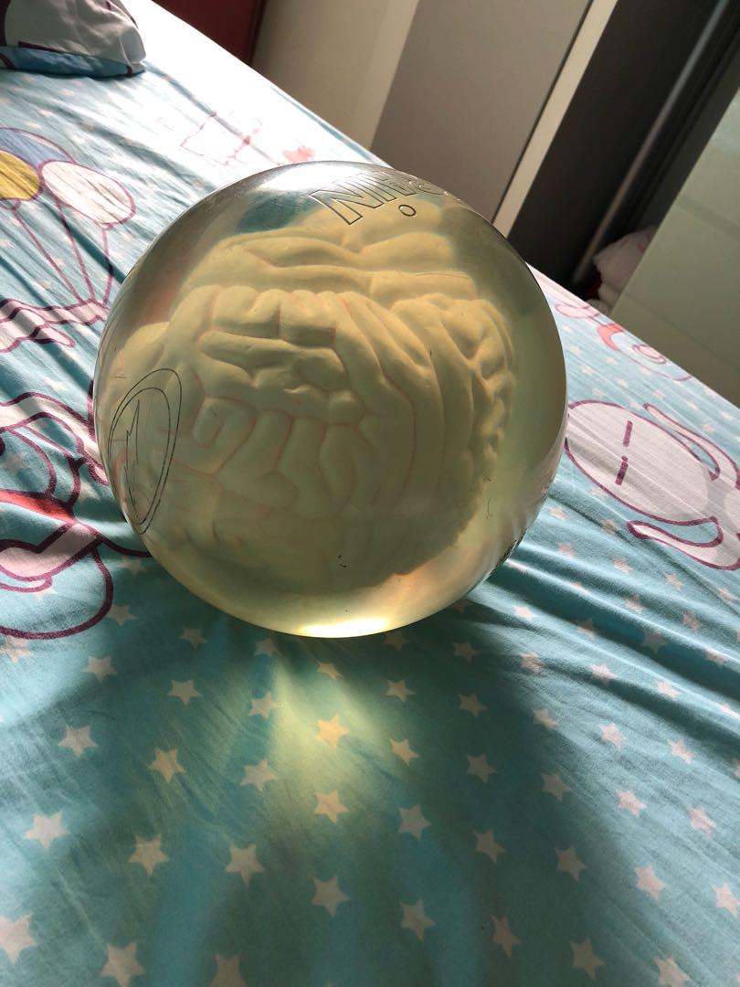 Storm Brain Bowling ball 14 lbs, Sports Equipment, Sports & Games ...