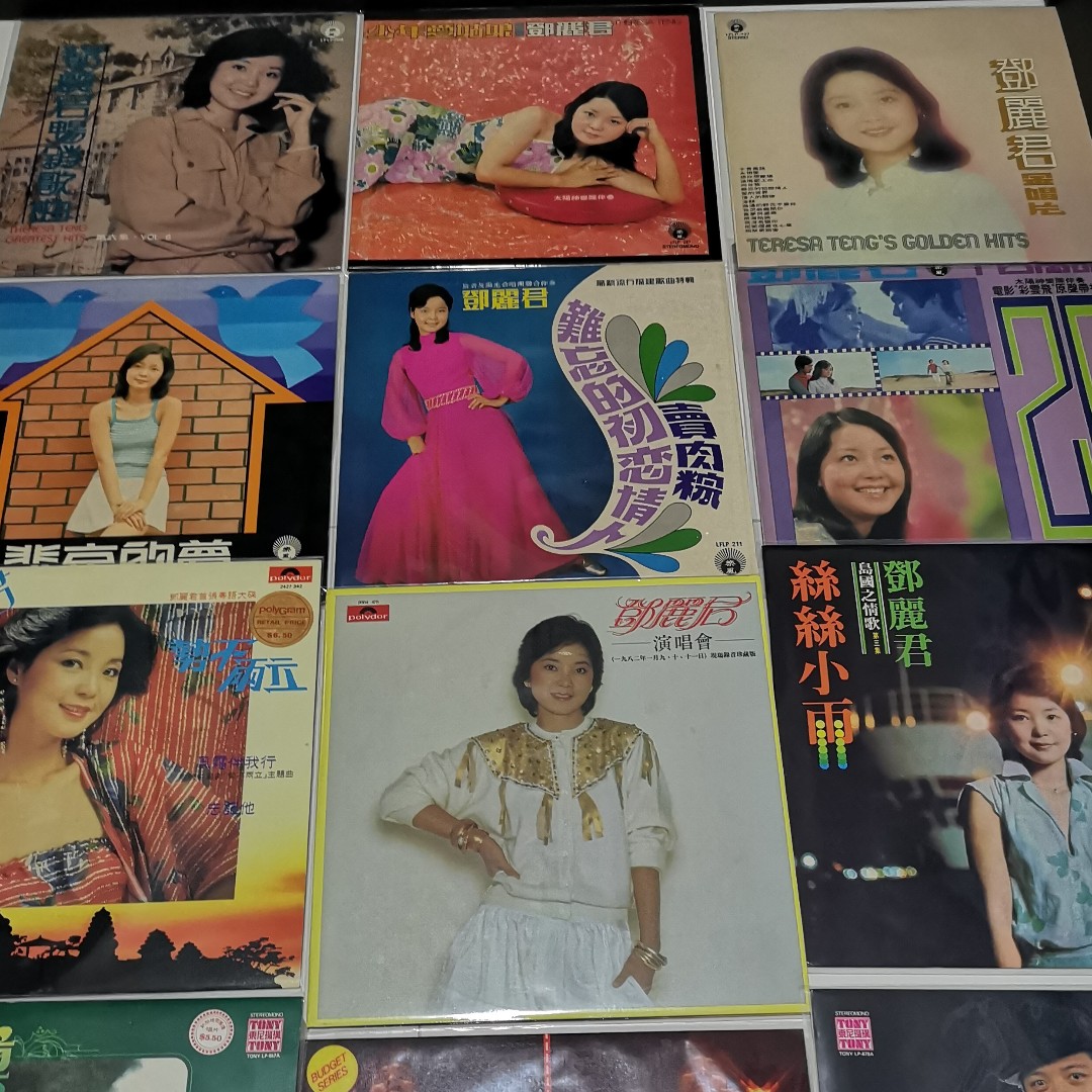 RARE CHINESE VINYL RECORDS LPs, Everything Else on Carousell